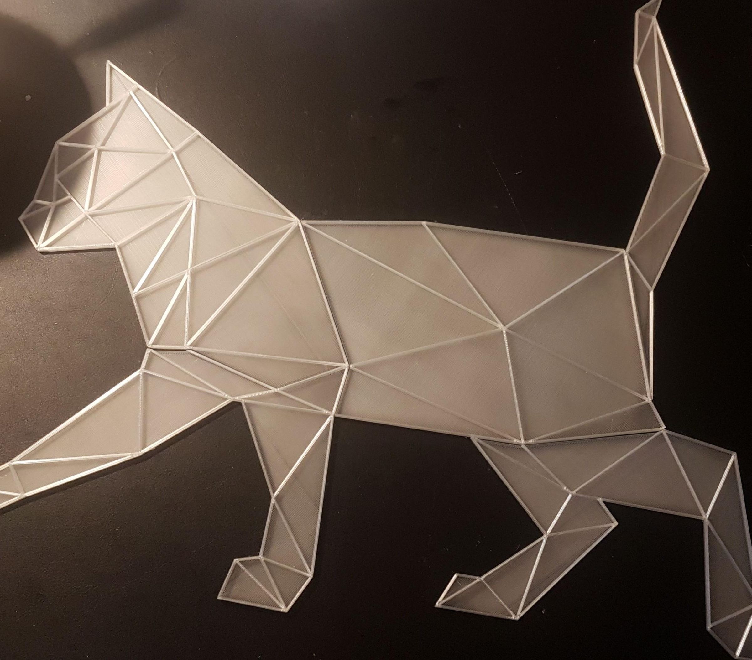 Polygon Cat With Acrylic : 12 Steps (with Pictures) - Instructables