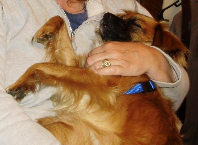 The Arduino Hang Guardian - Arduino Watchdog Timer Tutorial : 6 Steps ...