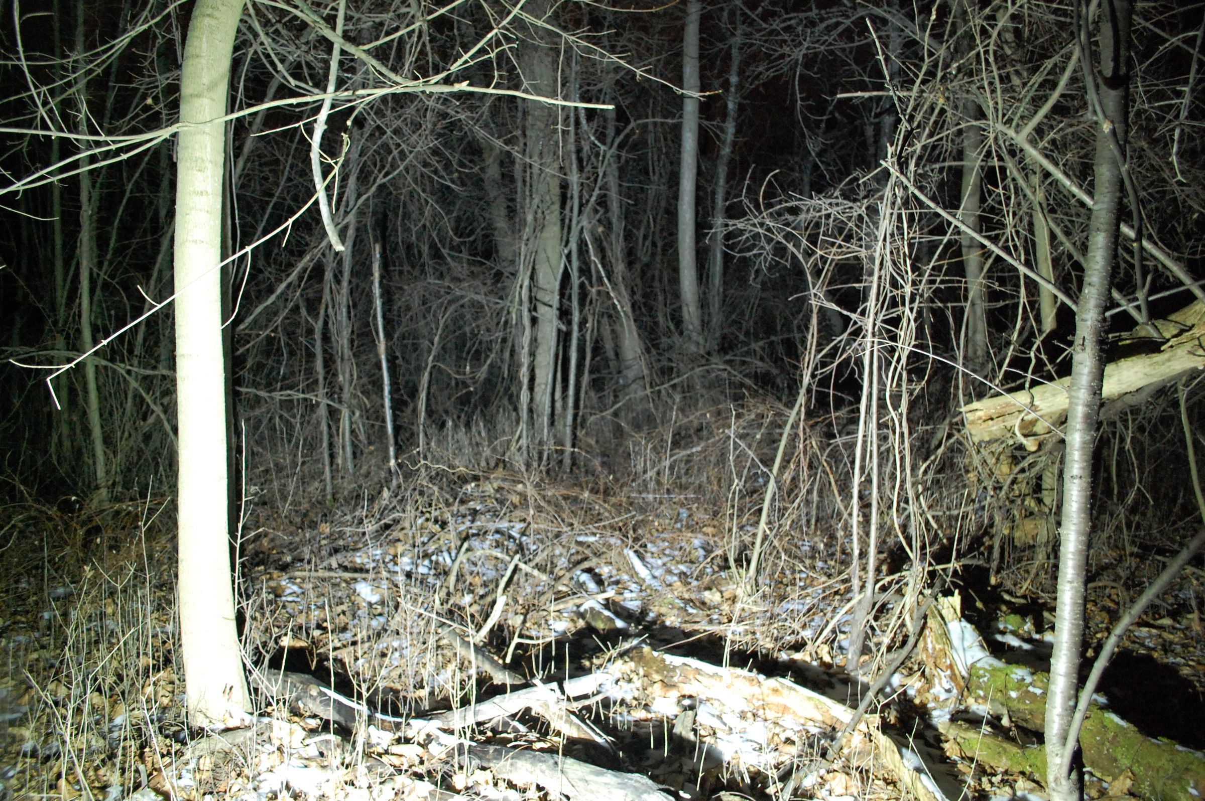 How to Build an Insanely Bright LED Flashlight! : 8 Steps (with ...