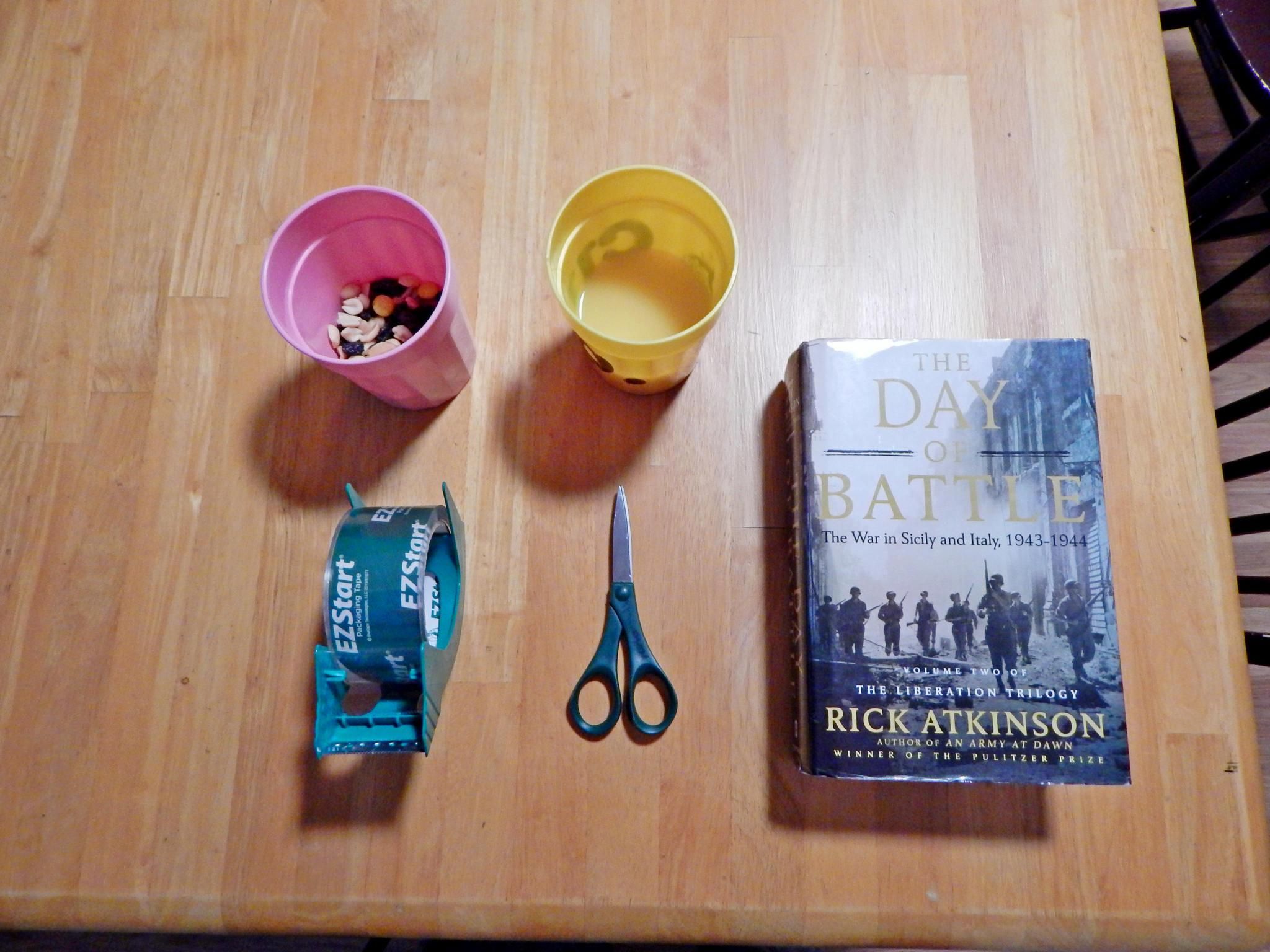 DIY Laminated Leaf Bookmarks : 4 Steps (with Pictures) - Instructables