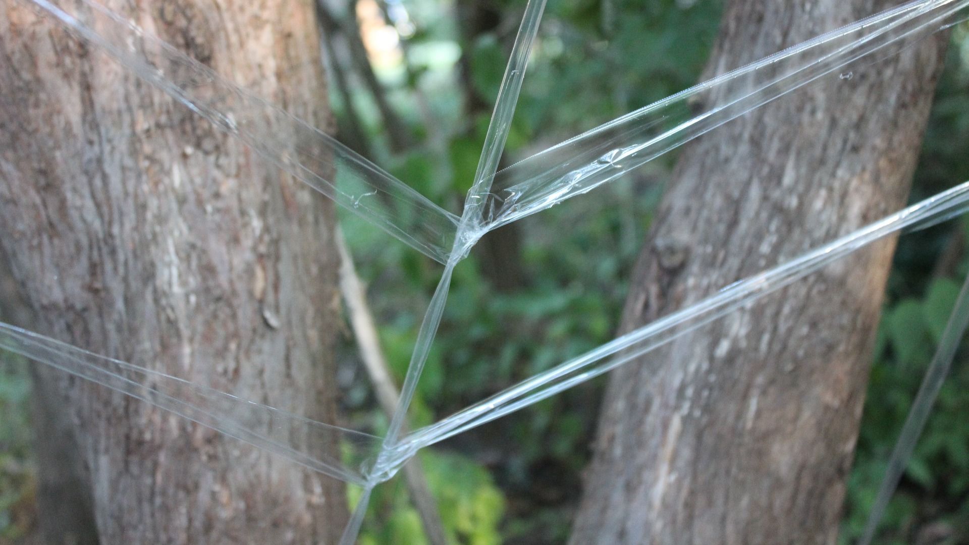 Giant Spider Web : 9 Steps (with Pictures) - Instructables