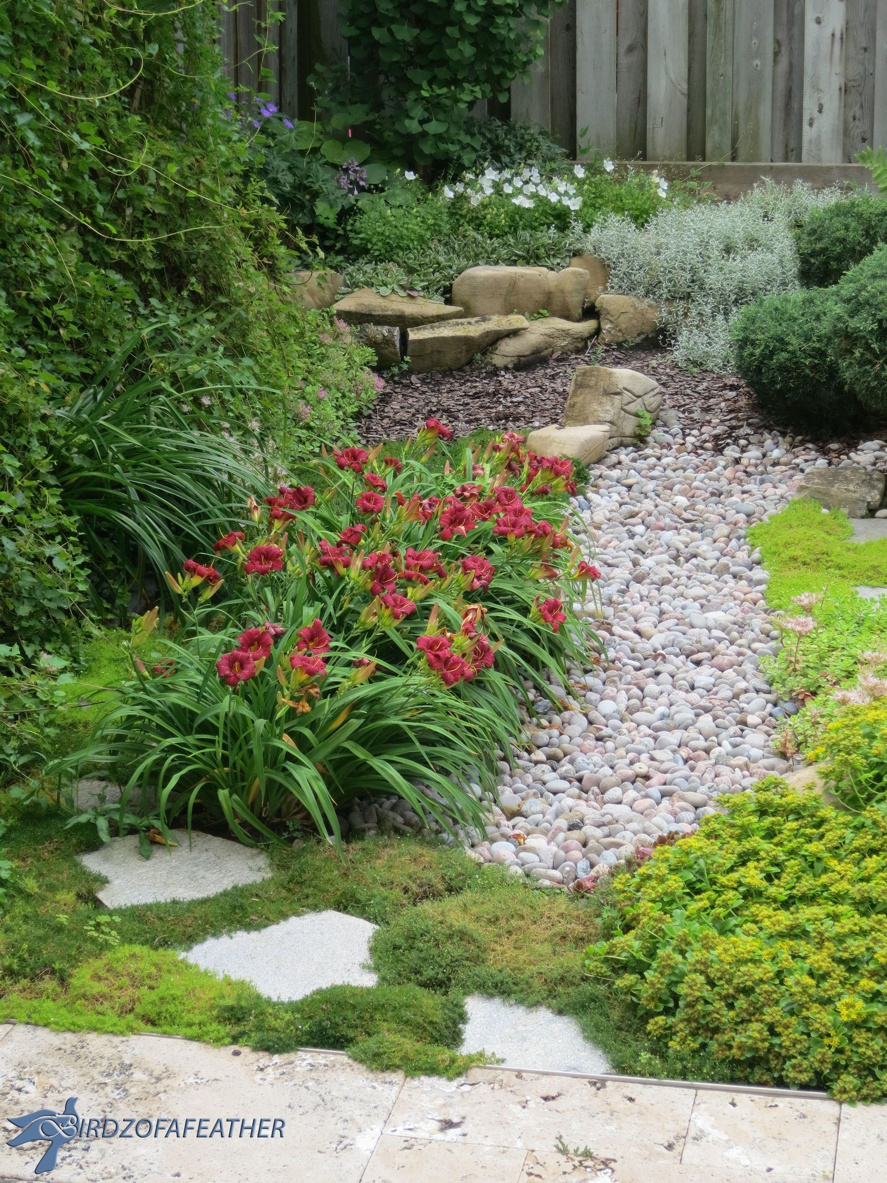 Landscape a Dry Creek Bed in Your Backyard! : 10 Steps (with Pictures ...