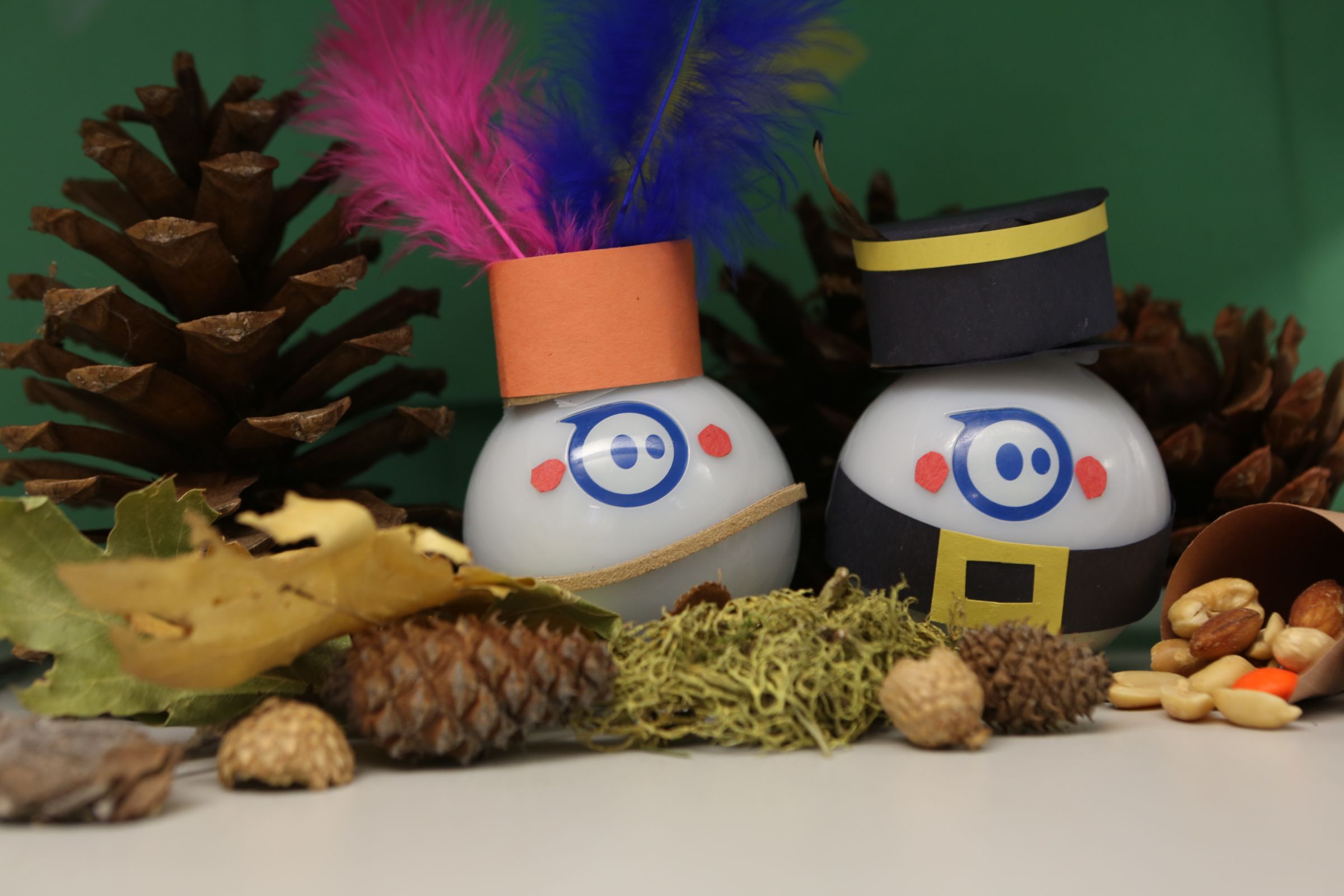 DIY Sphero Thanksgiving Costumes and Display - Instructables