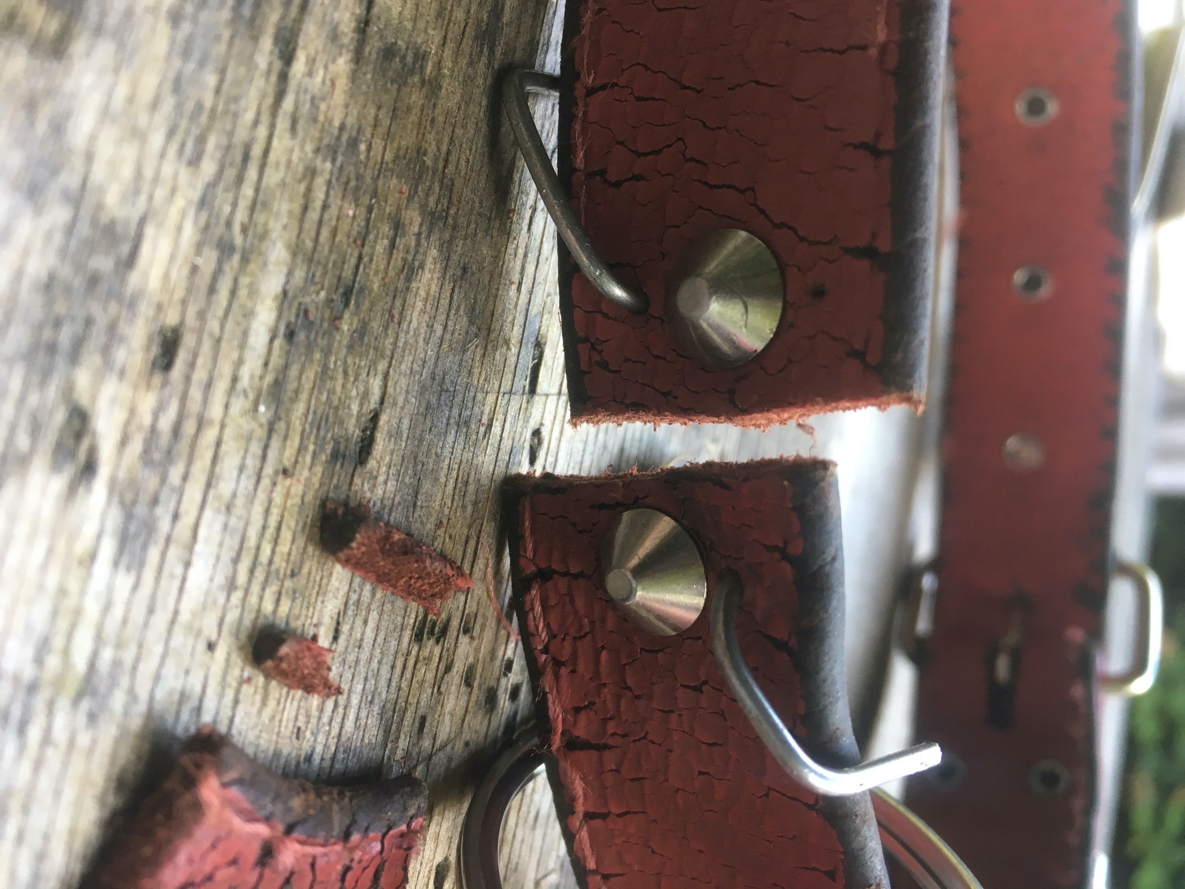 Fixing a Broken Leather Strap : 6 Steps - Instructables