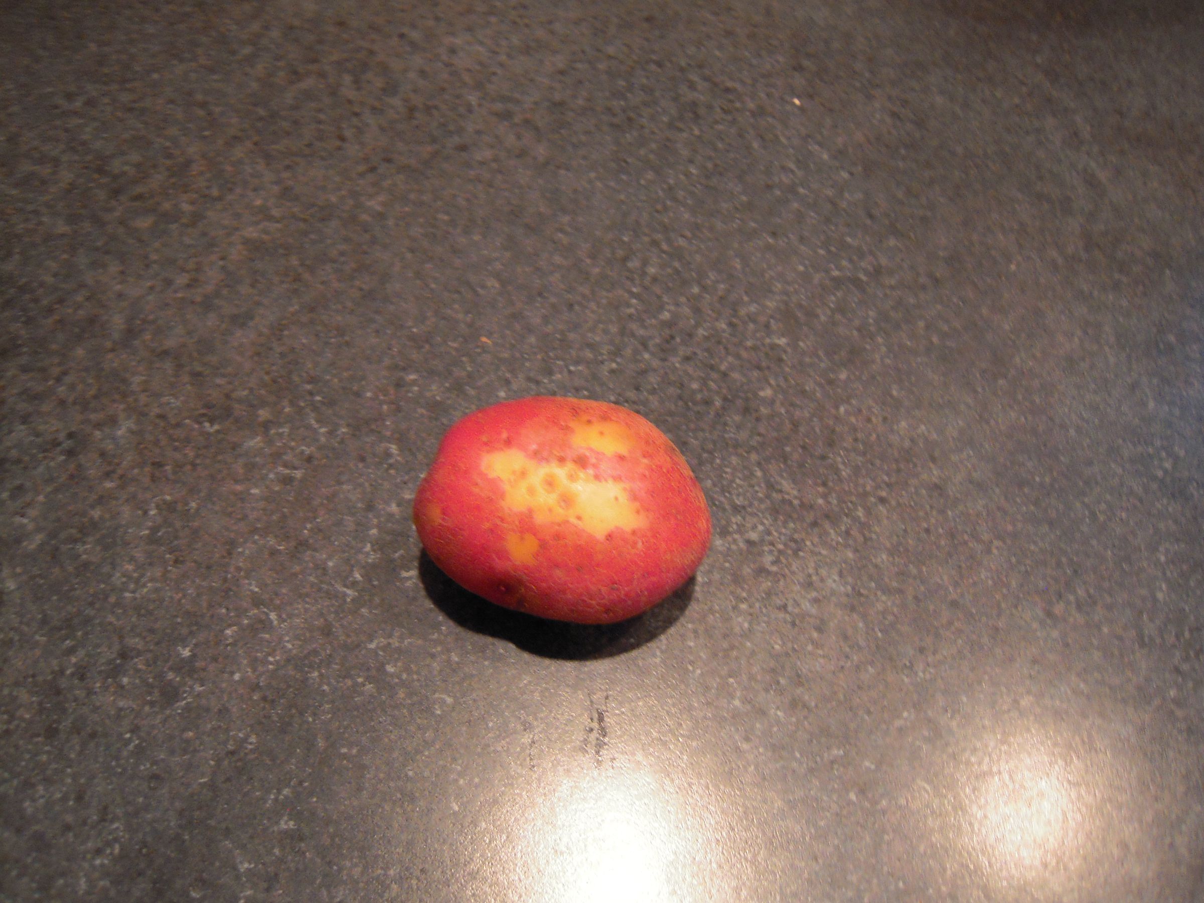 Potato on a Stick : 4 Steps (with Pictures) - Instructables