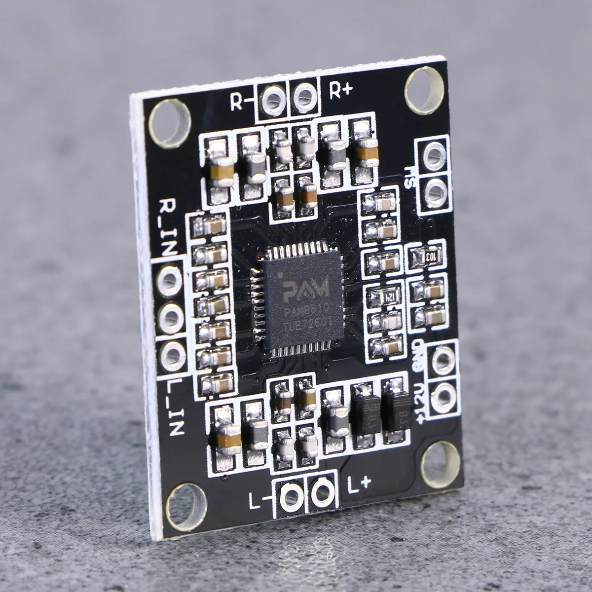 Wiring the PAM8610 Amplifier: a Step-by-Step Guide : 4 Steps - Instructables