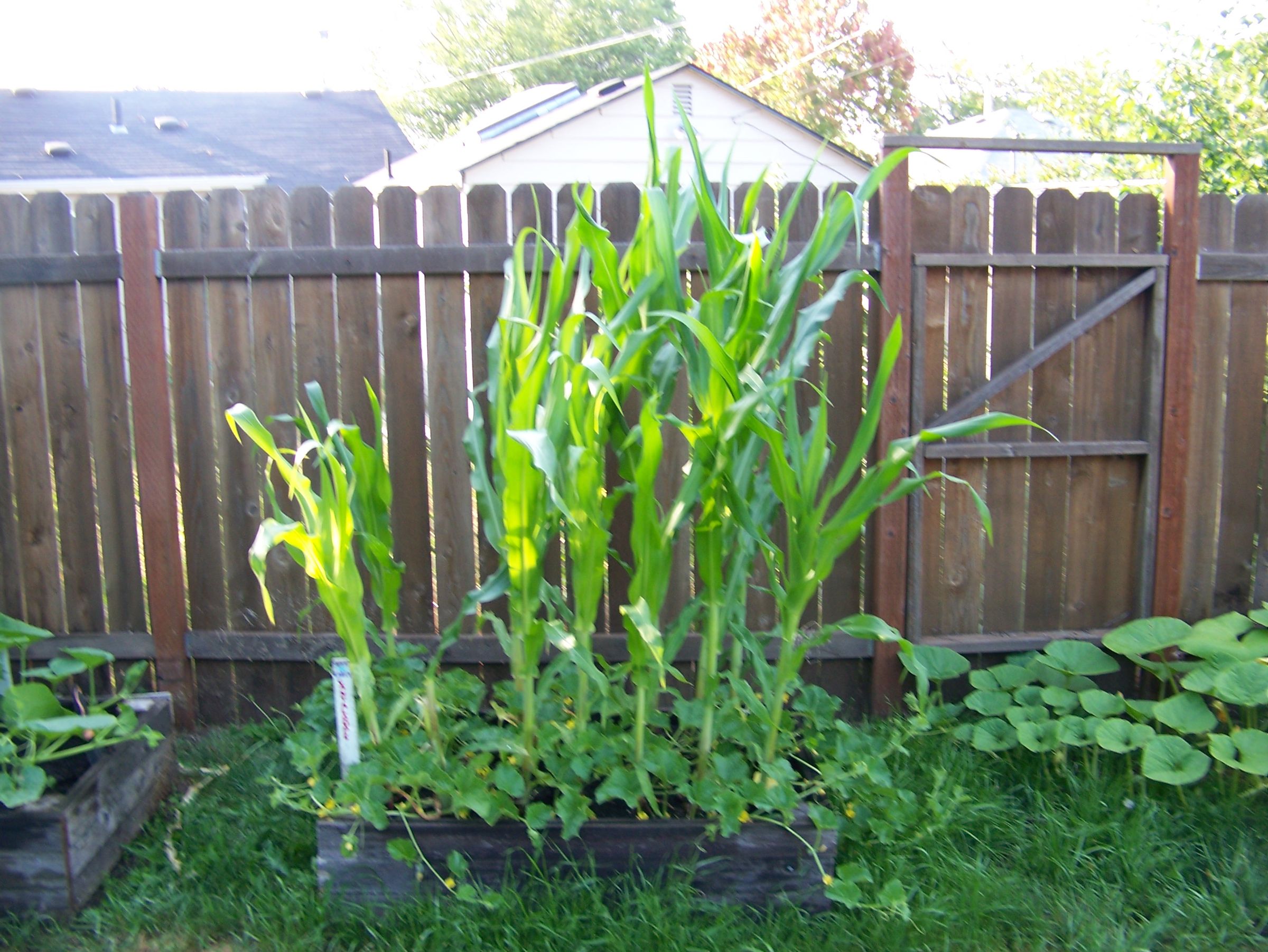 Raised Garden Beds (and More!) From Reclaimed Wood : 8 Steps (with ...