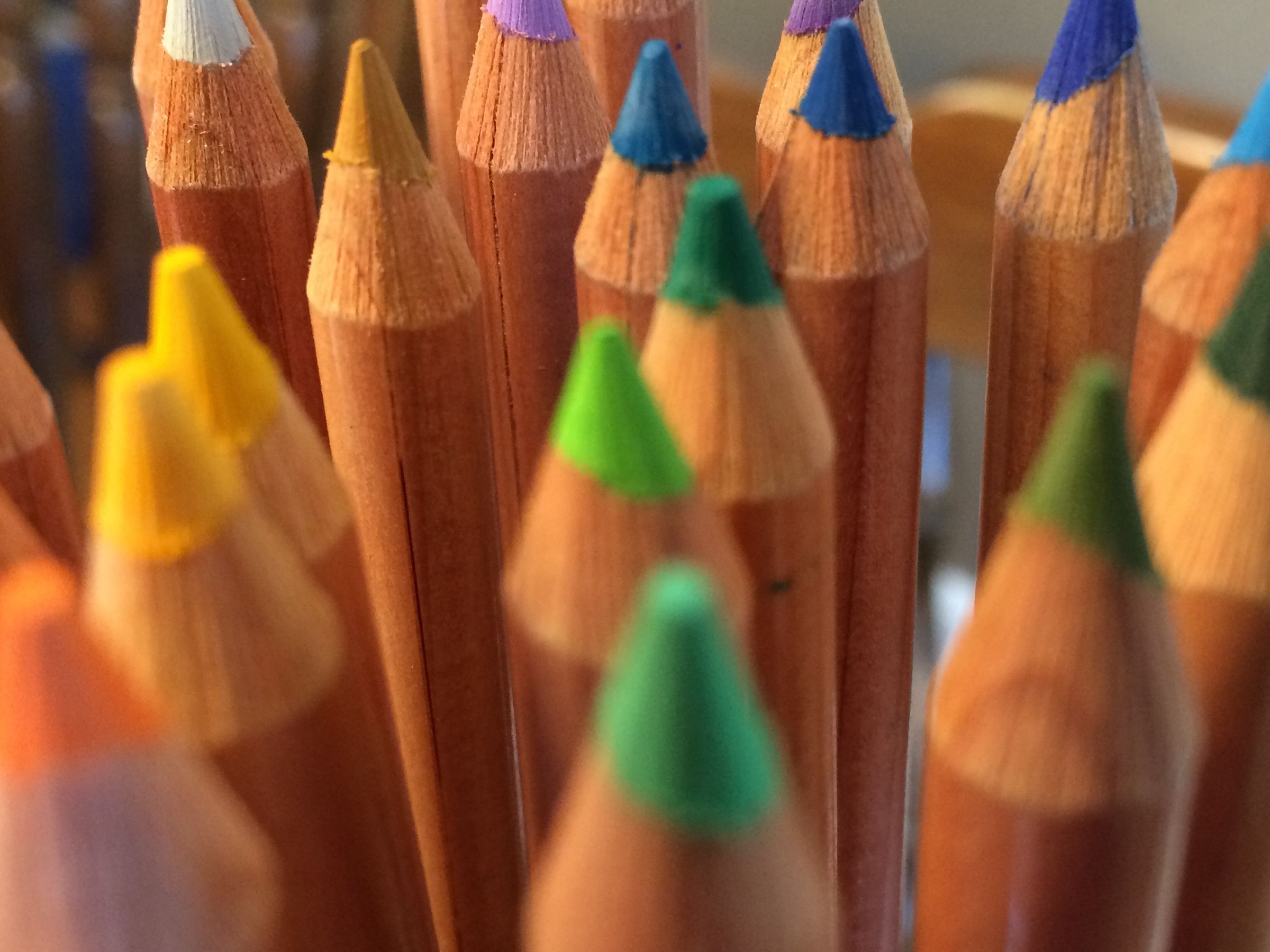 Rustic Log Pencil Holder : 3 Steps (with Pictures) - Instructables