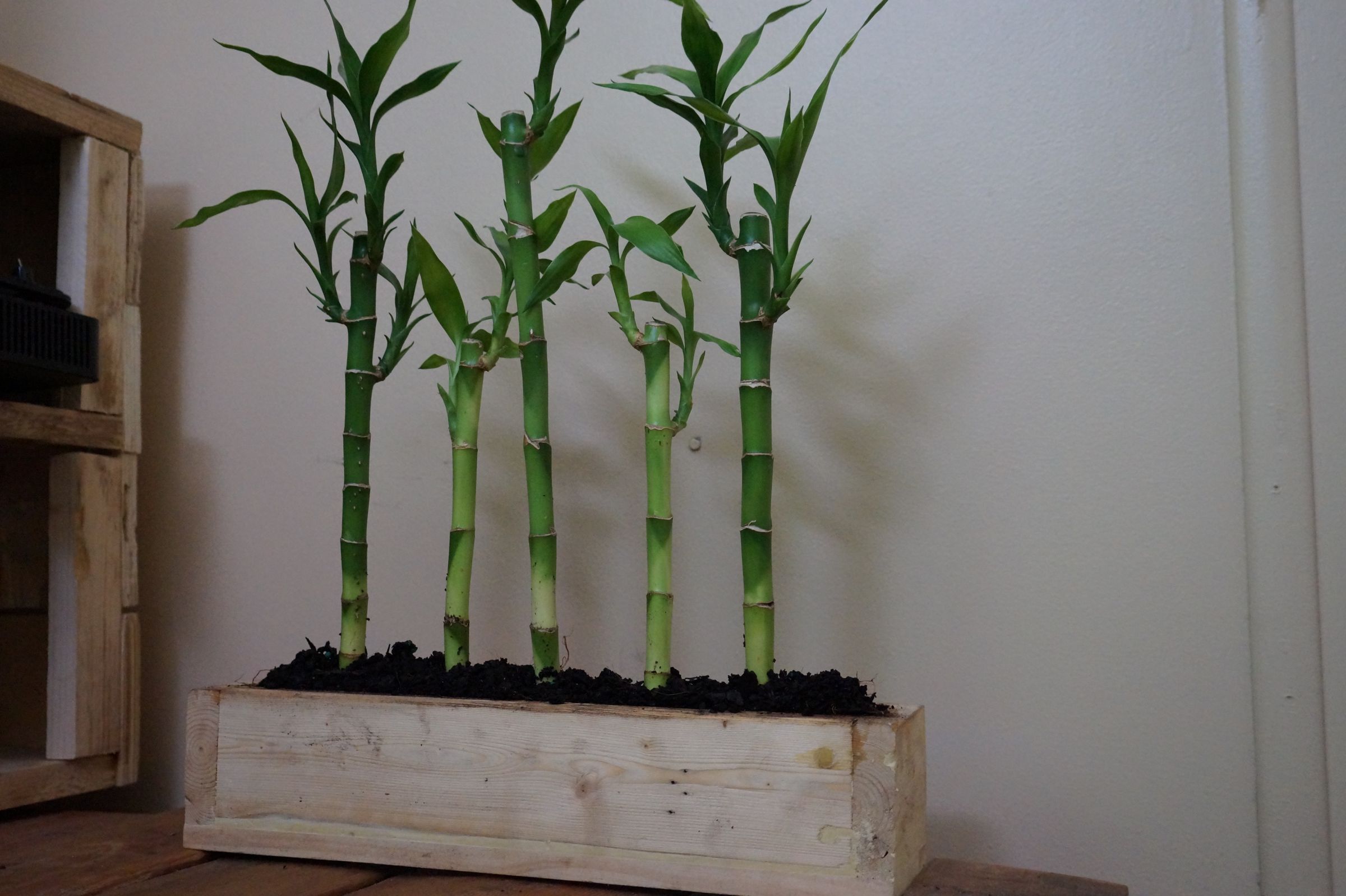 Magical Floating Planter Box : 6 Steps (with Pictures) - Instructables