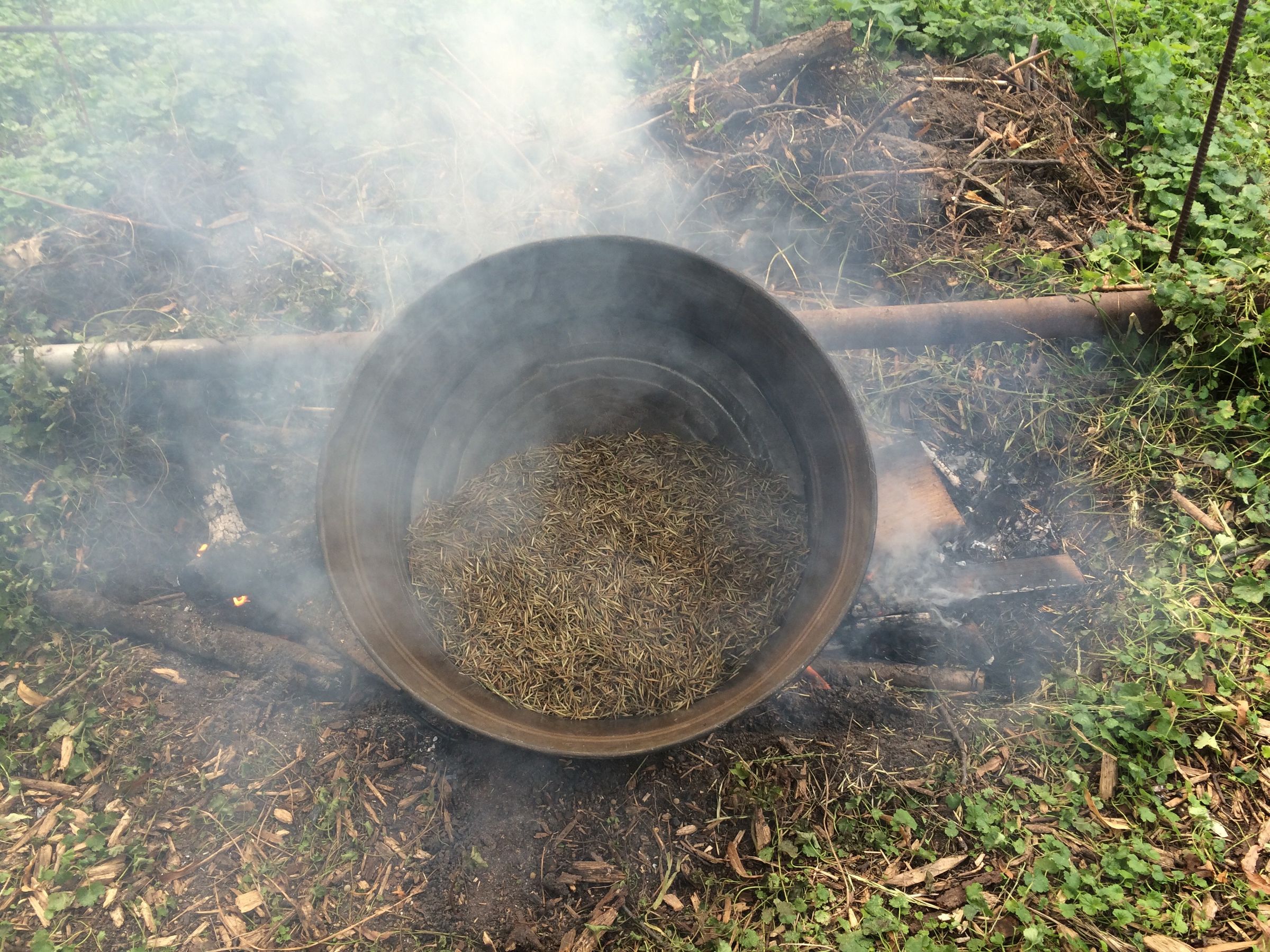 Finishing Wild Rice : 9 Steps (with Pictures) - Instructables