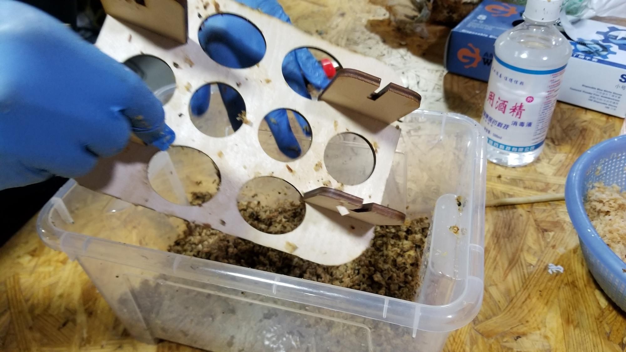 Mycelium Stool (prototype) : 8 Steps - Instructables