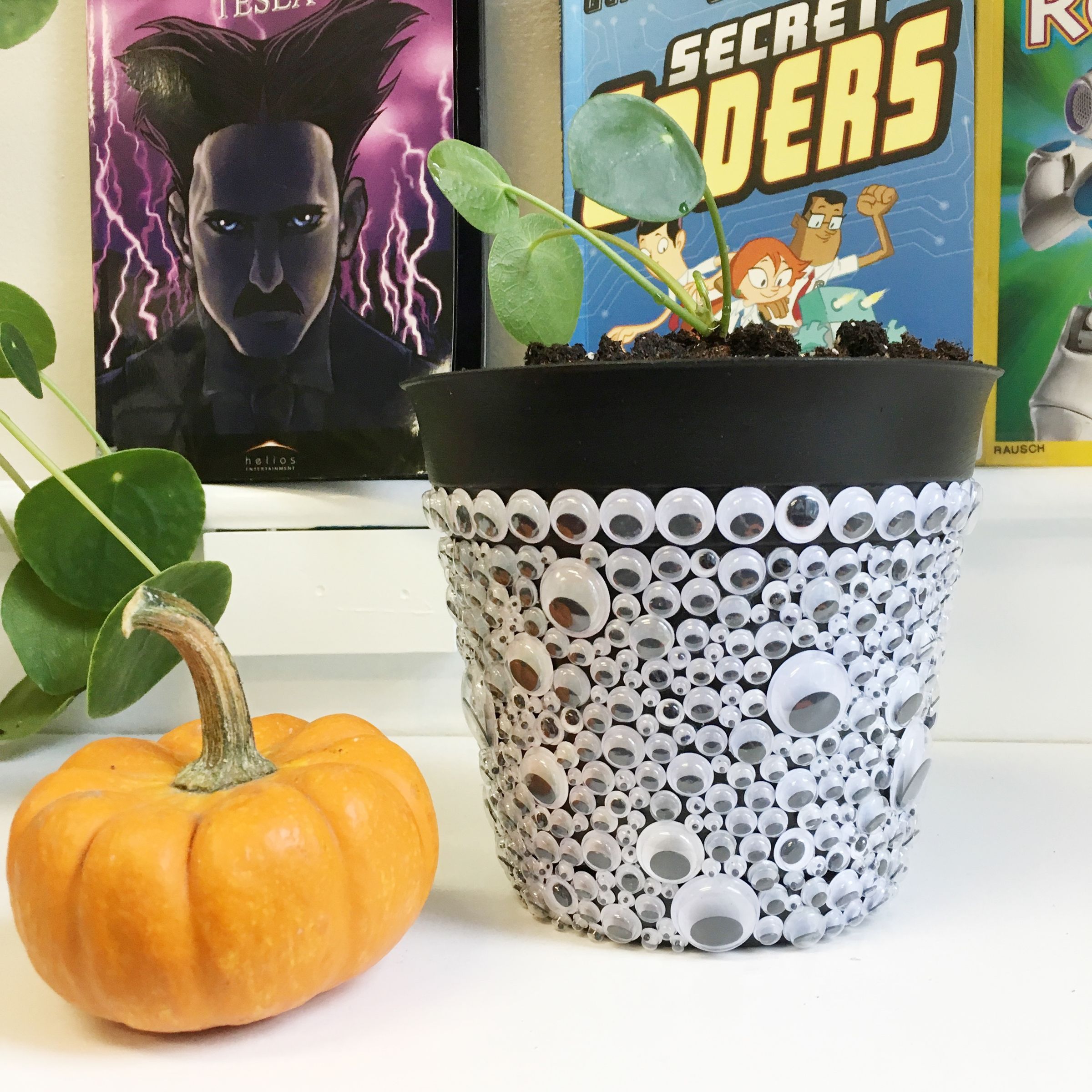 Googly Eyes Planter : 3 Steps (with Pictures) - Instructables