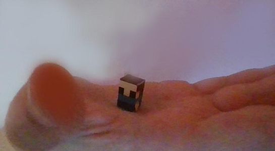 Little Papercraft Steve : 5 Steps - Instructables