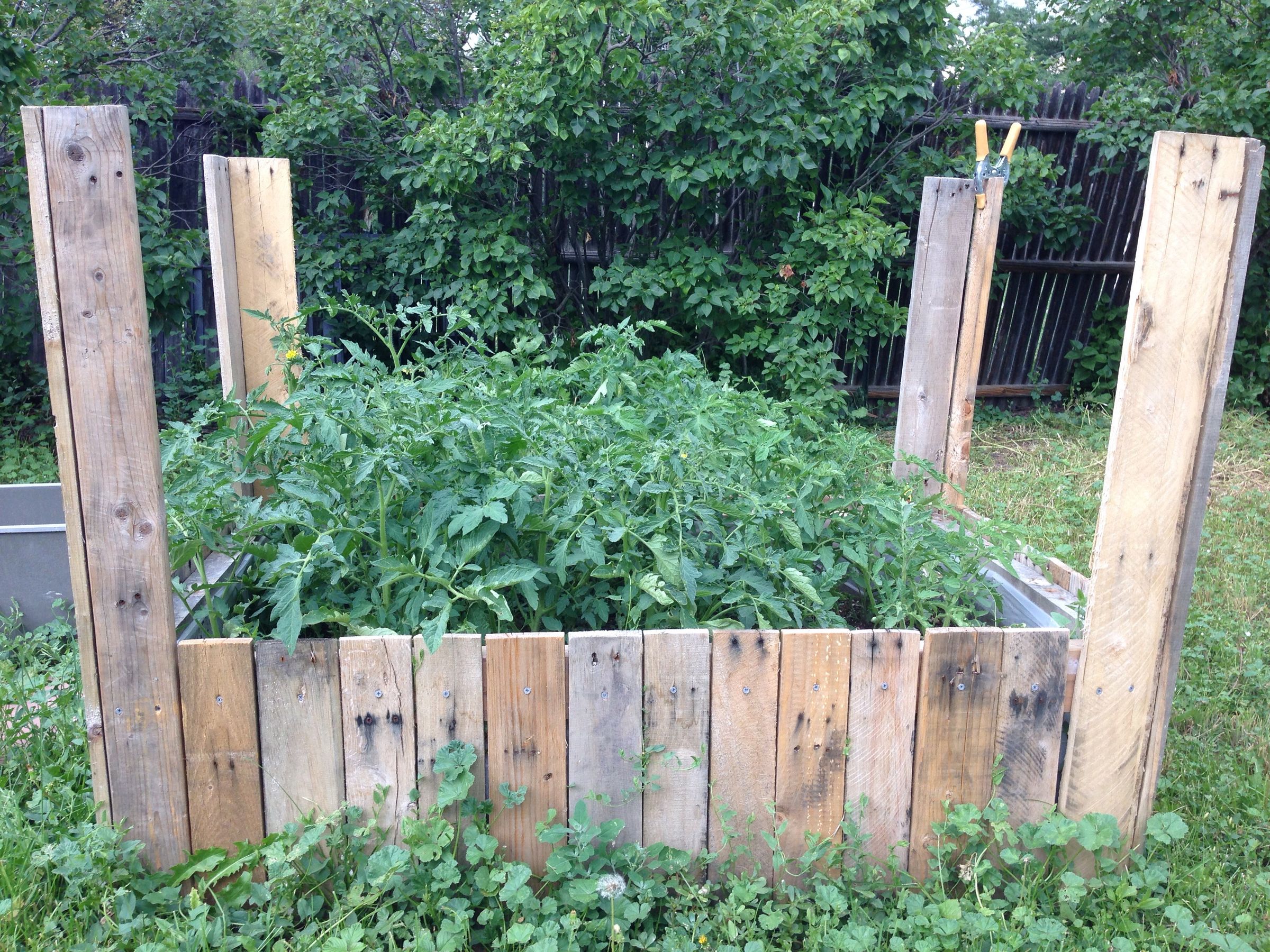 Raised Bed Pallet Planter *Updated August 21st, 2015* : 9 Steps (with ...