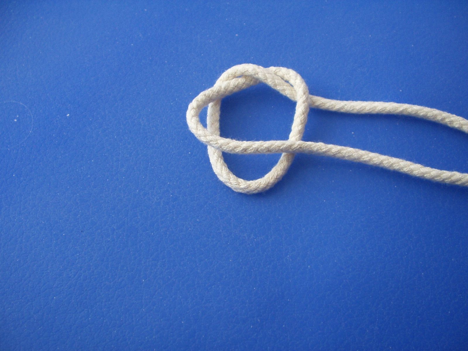 Two Strand Lanyard Knot (ABOK 784) : 10 Steps - Instructables