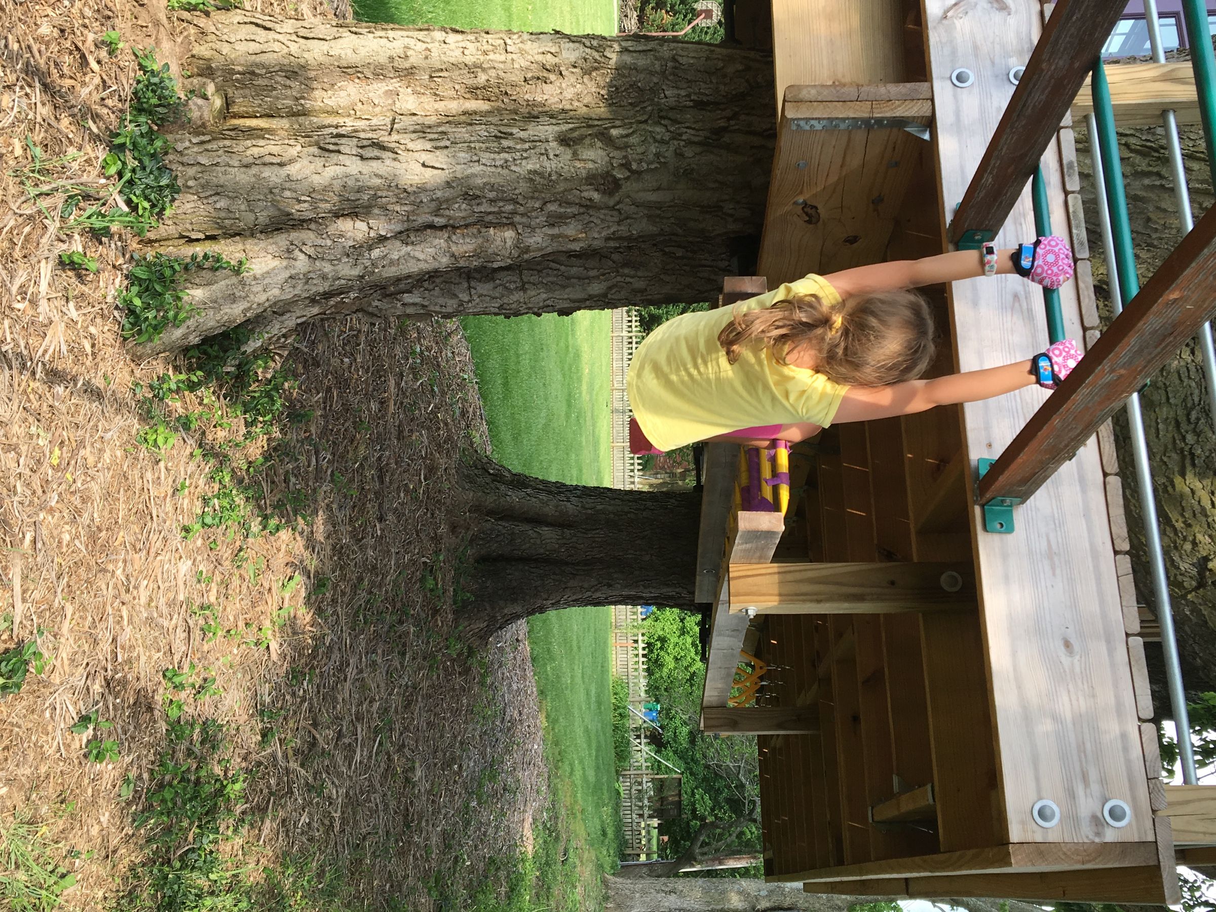 Adjustable Monkey Bars : 6 Steps (with Pictures) - Instructables