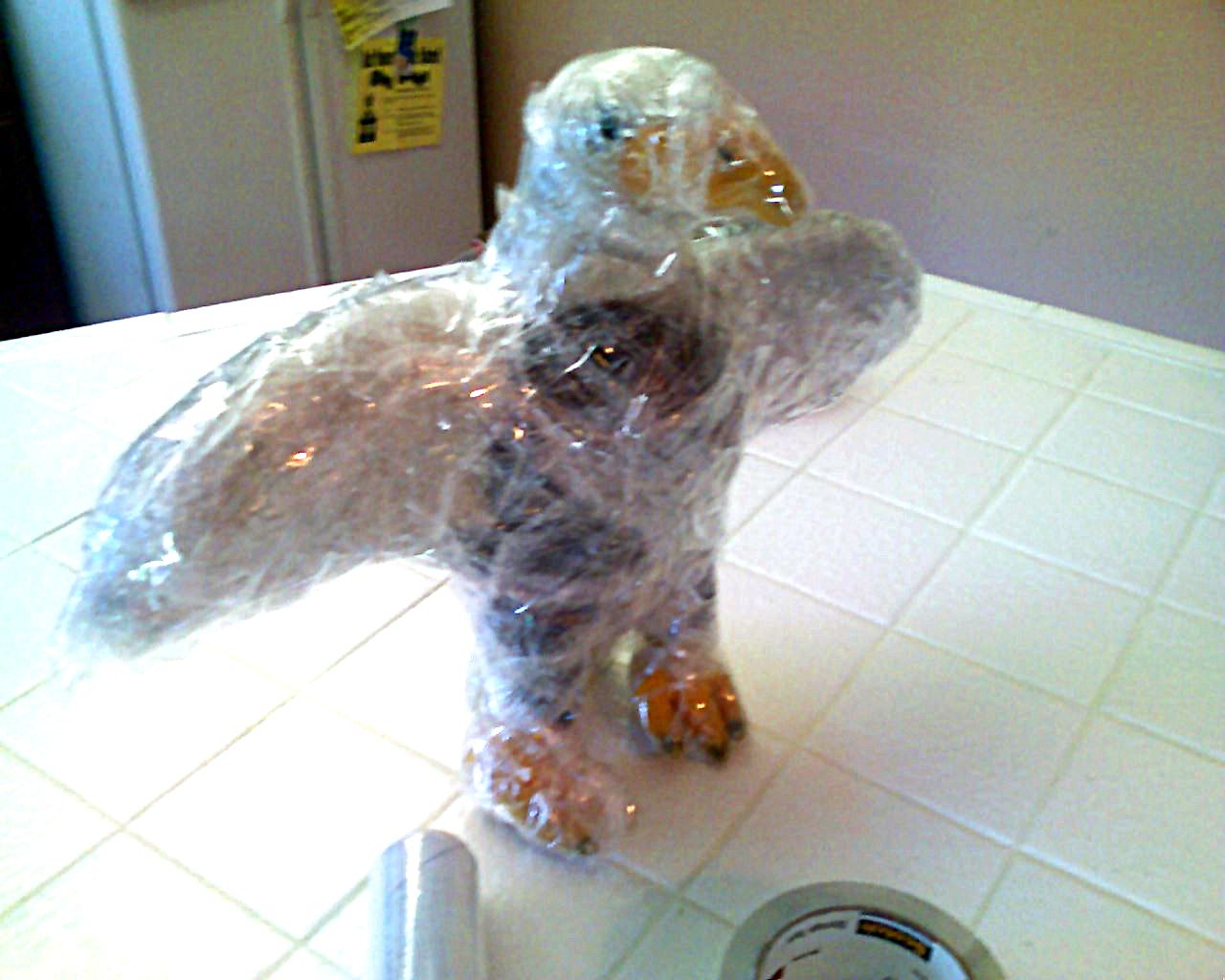 Plastic Wrap Sculptures! : 6 Steps (with Pictures) - Instructables