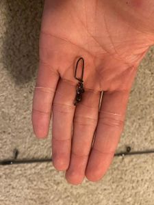How to Attach a Fishing Lure : 4 Steps - Instructables