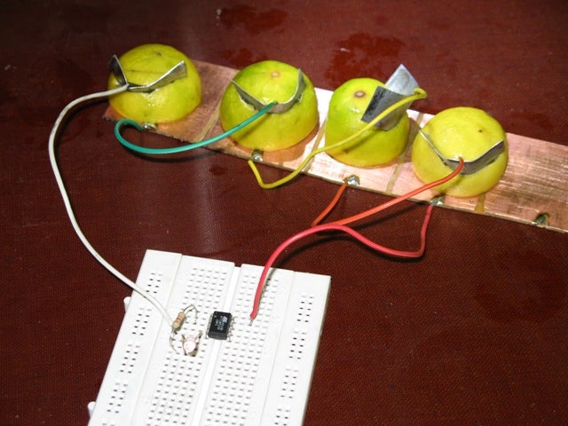 Tiny AVR Microcontroller Runs on a Fruit Battery : 9 Steps (with Pictures) - Instructables