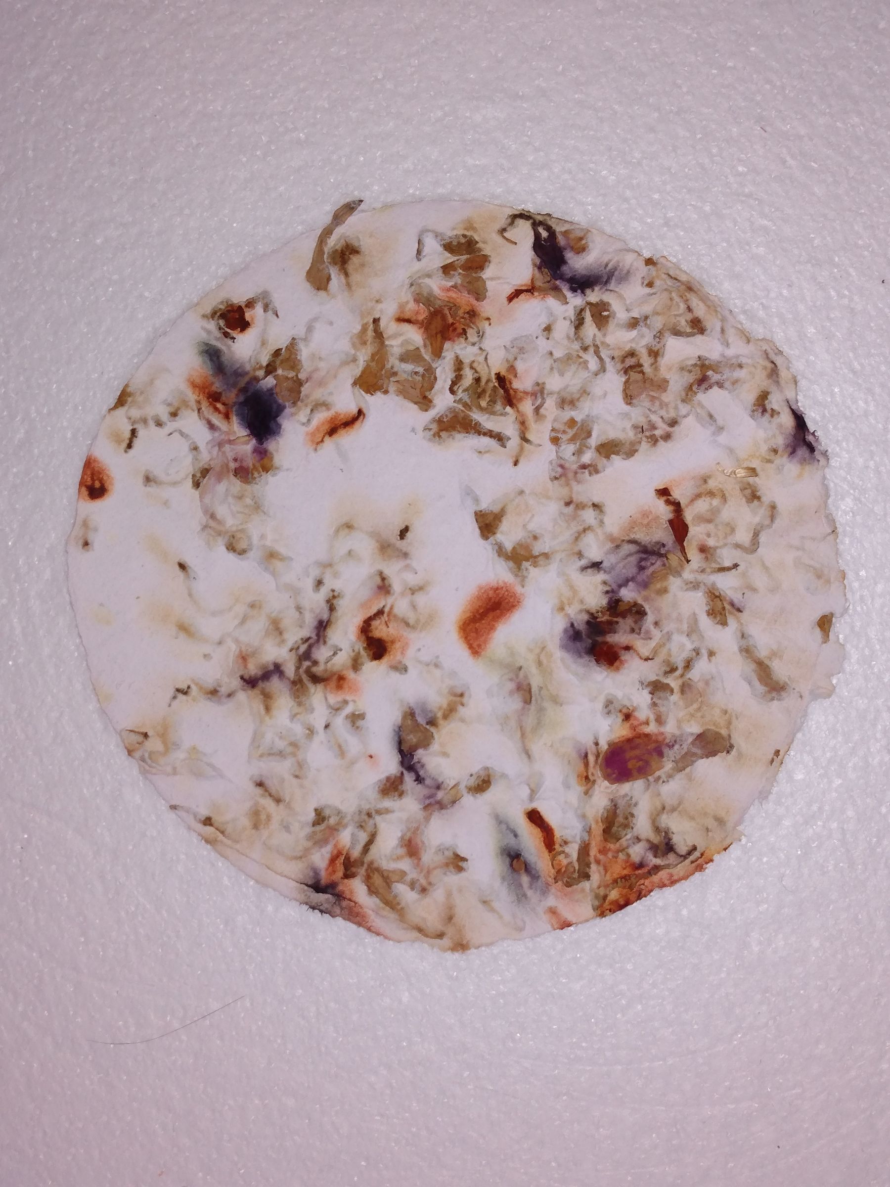 Tin Can Papermaking : 9 Steps (with Pictures) - Instructables