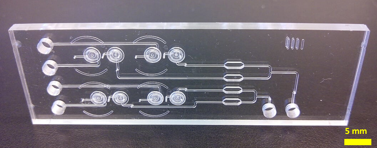 DIY Low-cost UV Flood Light for Adhesive-free Bonding of PMMA ...