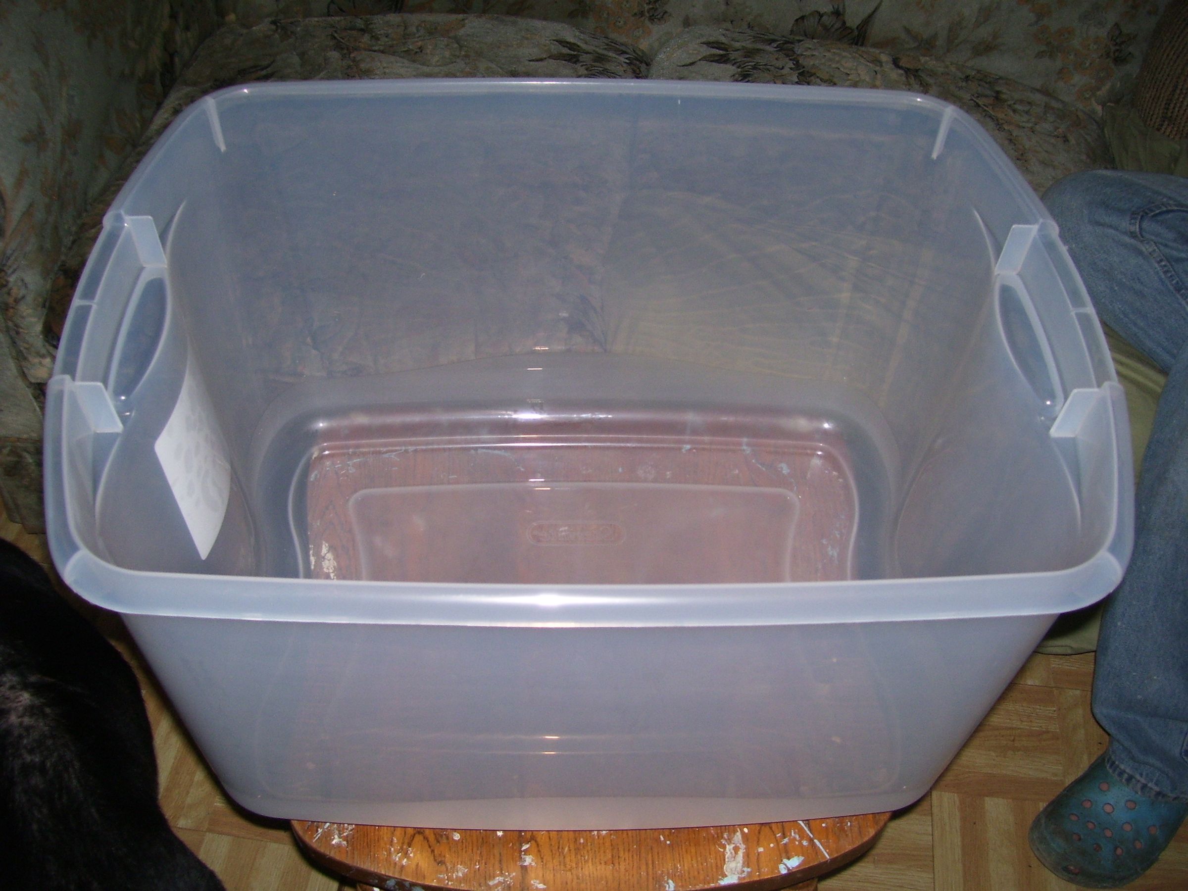 Cricket Breeding Pt. 1 : 6 Steps - Instructables