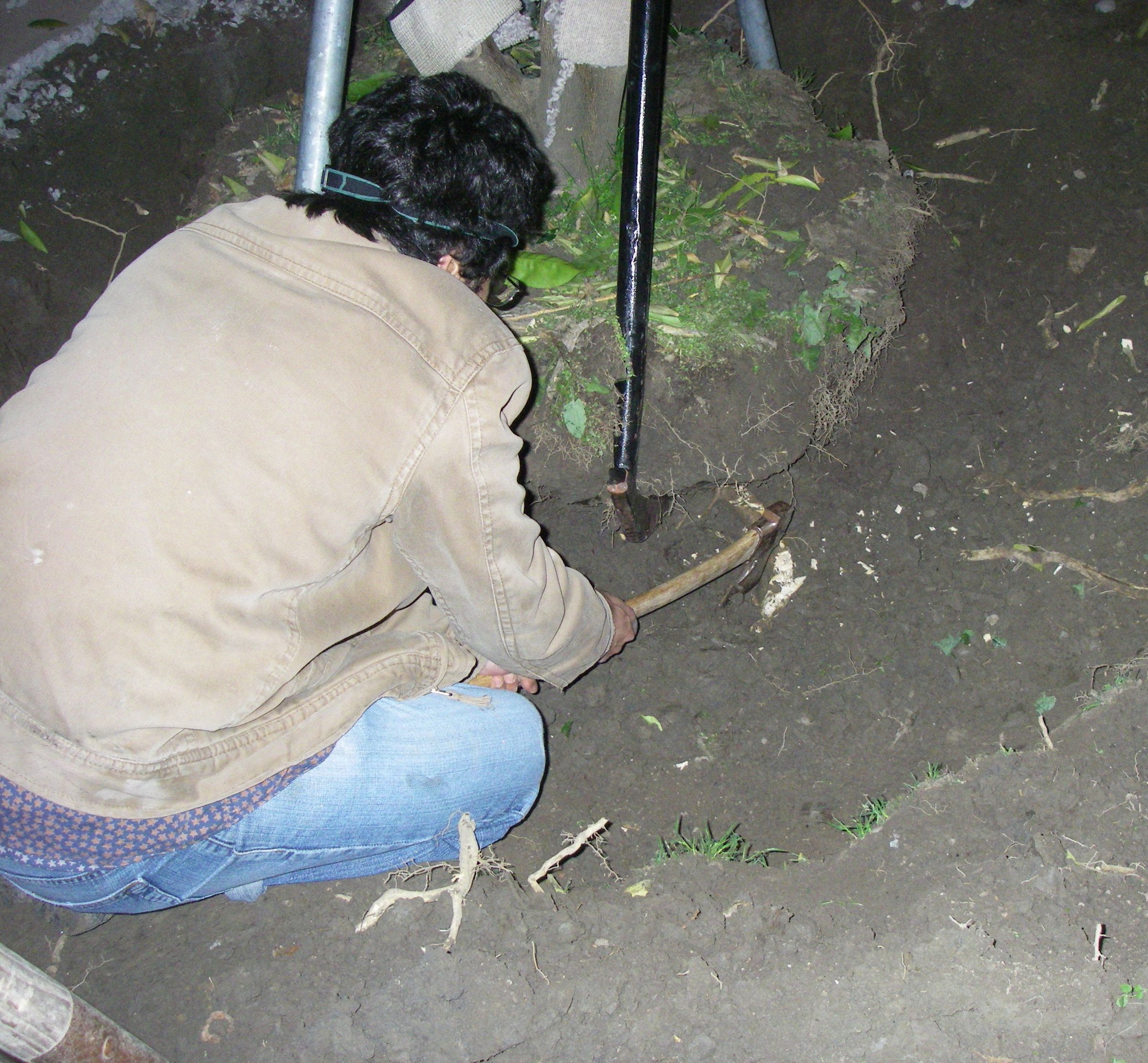 How to Move a Tree, Vehicle and A-frame Method : 17 Steps (with ...