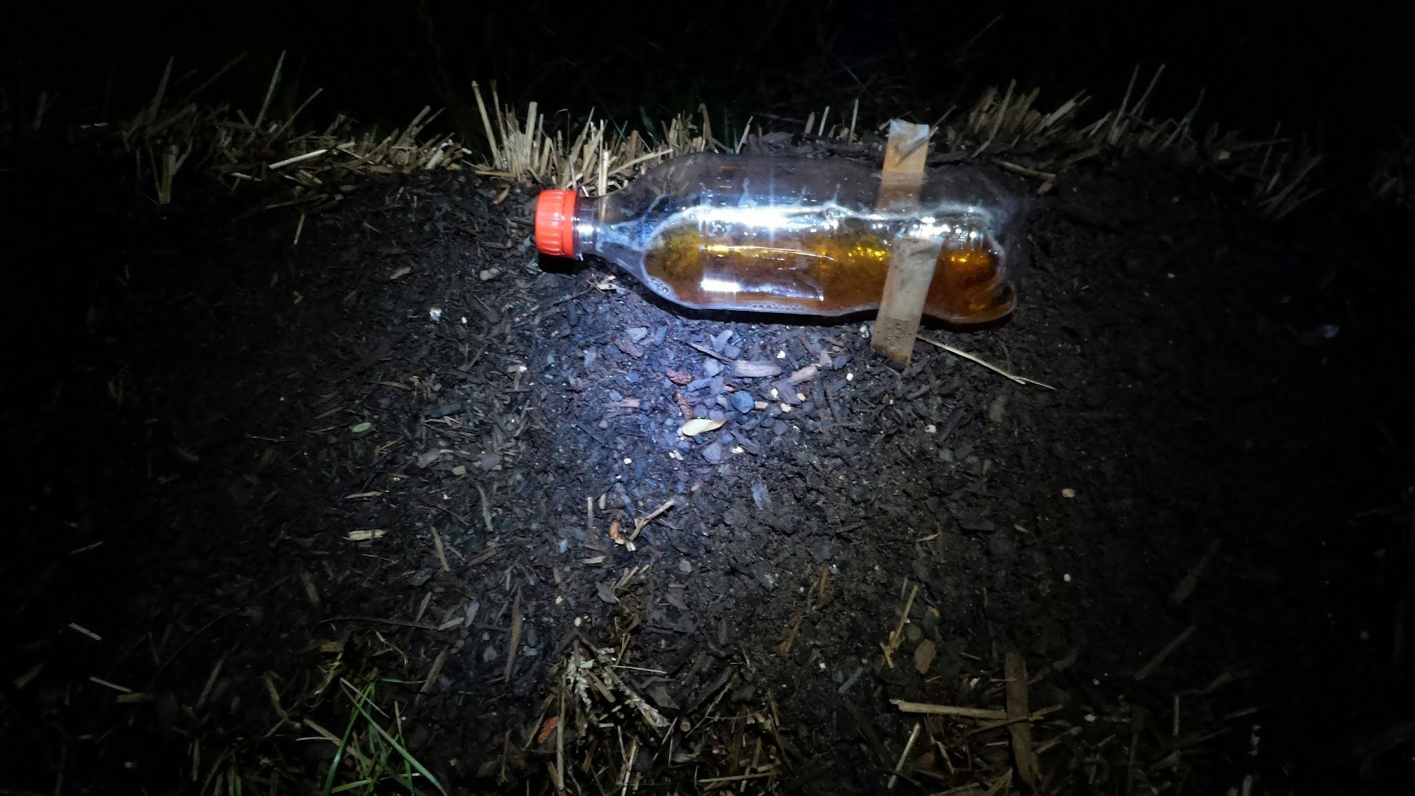 Simple Slug Trap : 5 Steps - Instructables