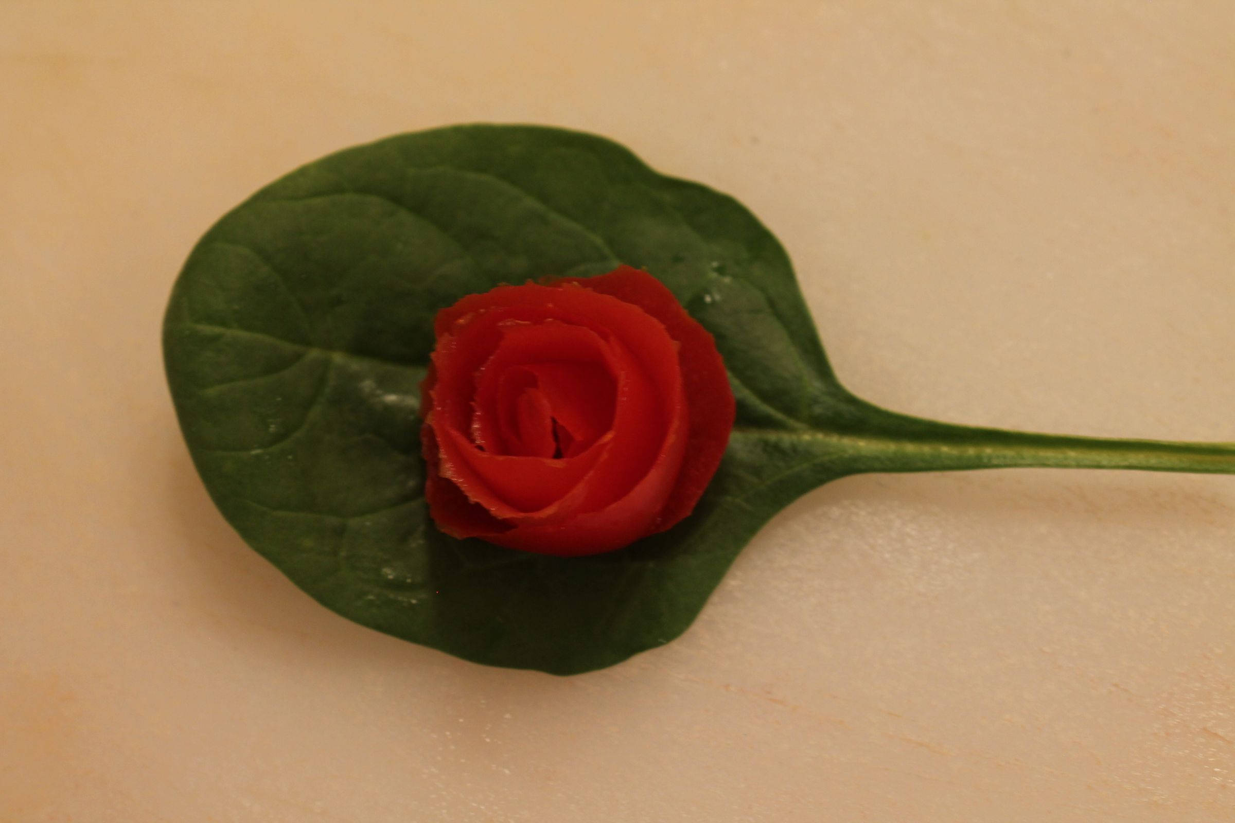 How to Make a Tomato Rose : 13 Steps - Instructables