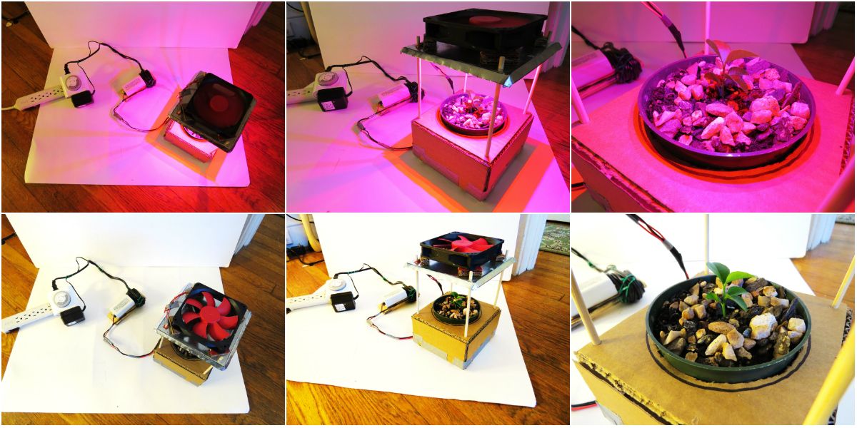 Easy & Cheap Auto-grow System : 3 Steps (with Pictures) - Instructables