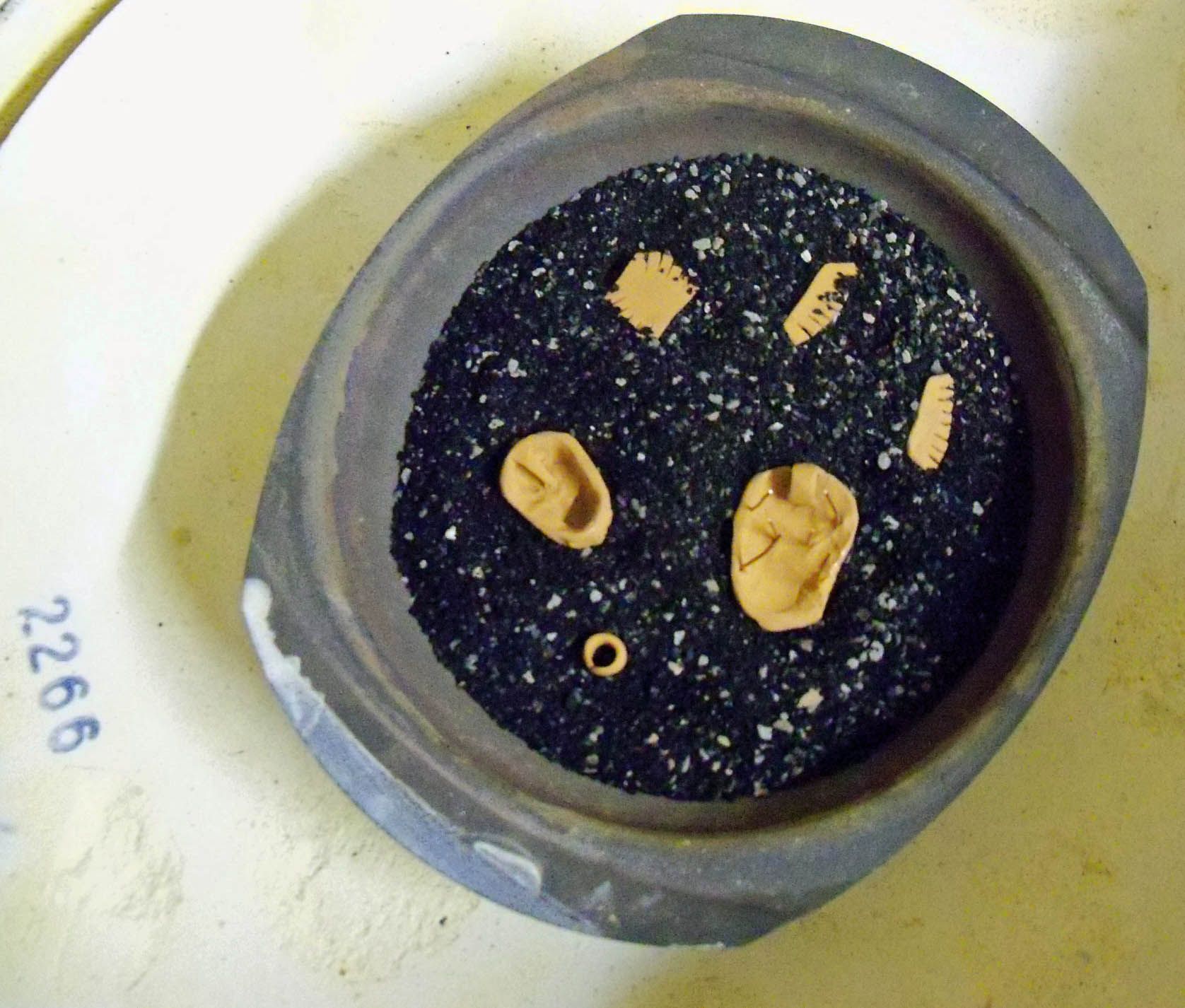 DIY Copper Clay Trilobites : 5 Steps - Instructables