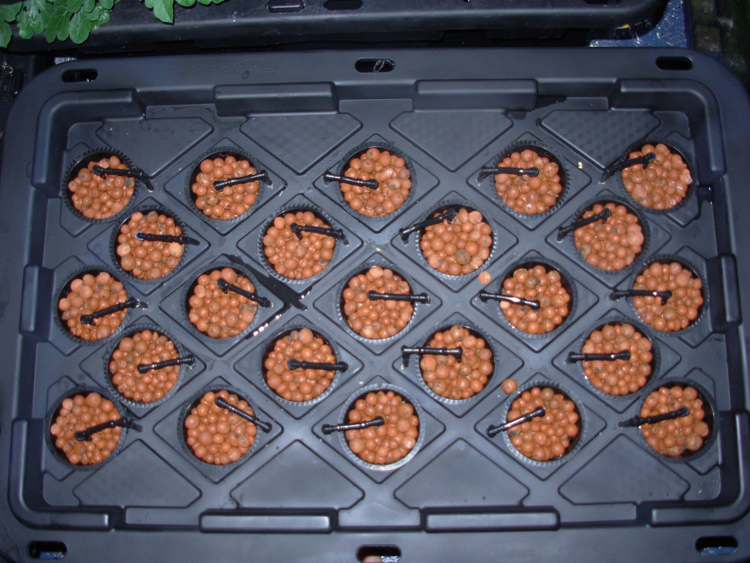 How to Build a Home Hydroponics System : 8 Steps (with Pictures ...