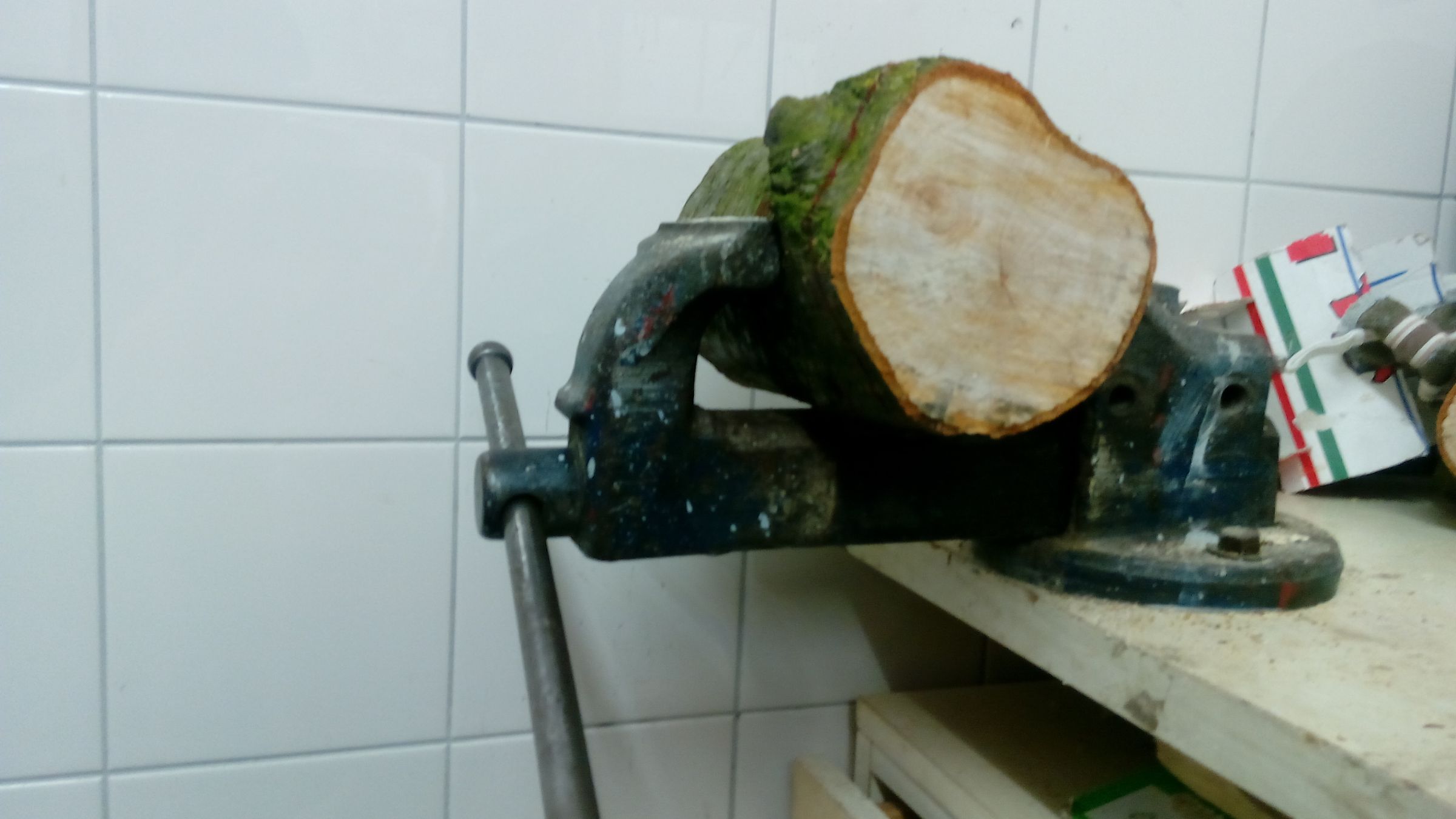 Tree Trunk Trivet (for Starters or Kids) : 4 Steps (with Pictures ...