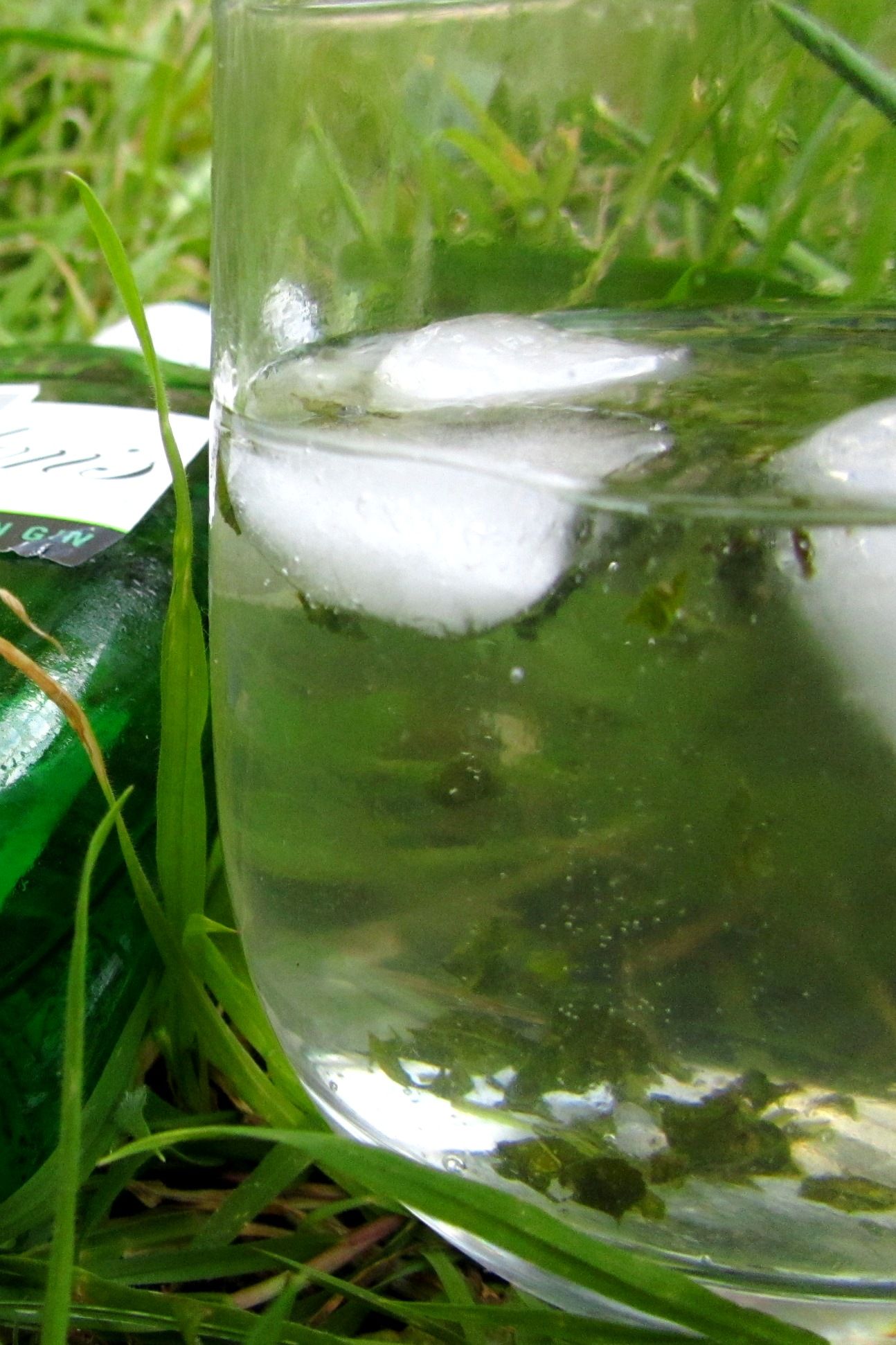 Calming Cucumber Cocktail - Instructables