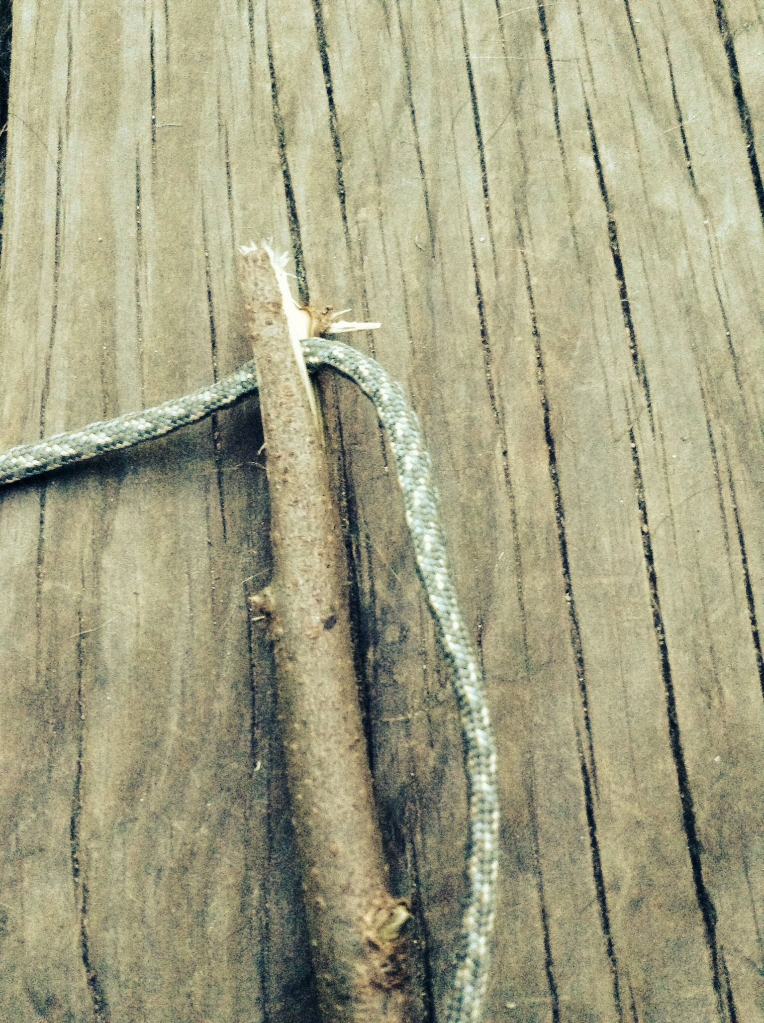 How to Make a Survival Whip Bow : 6 Steps - Instructables
