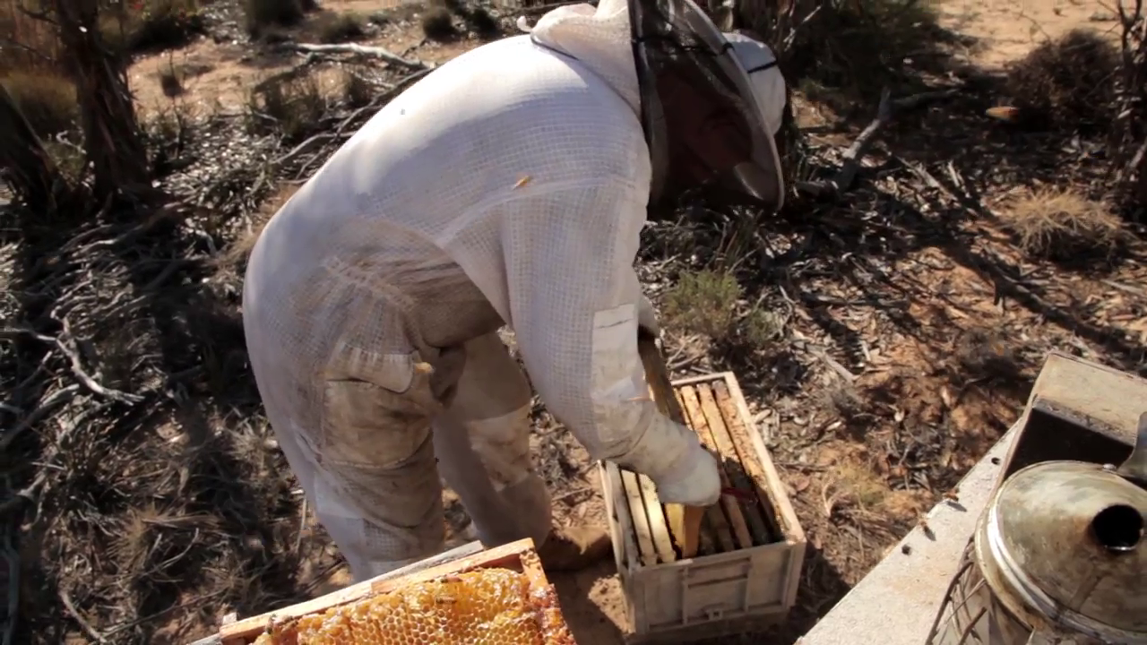 How to Collect Honey From Beehives : 5 Steps (with Pictures ...