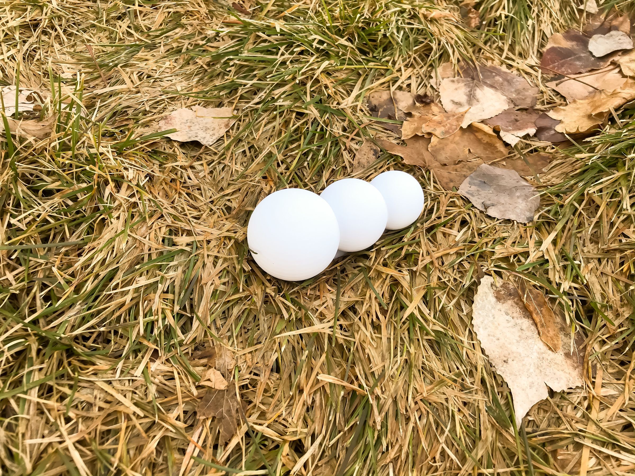 Snowman Poop Prank : 5 Steps (with Pictures) - Instructables