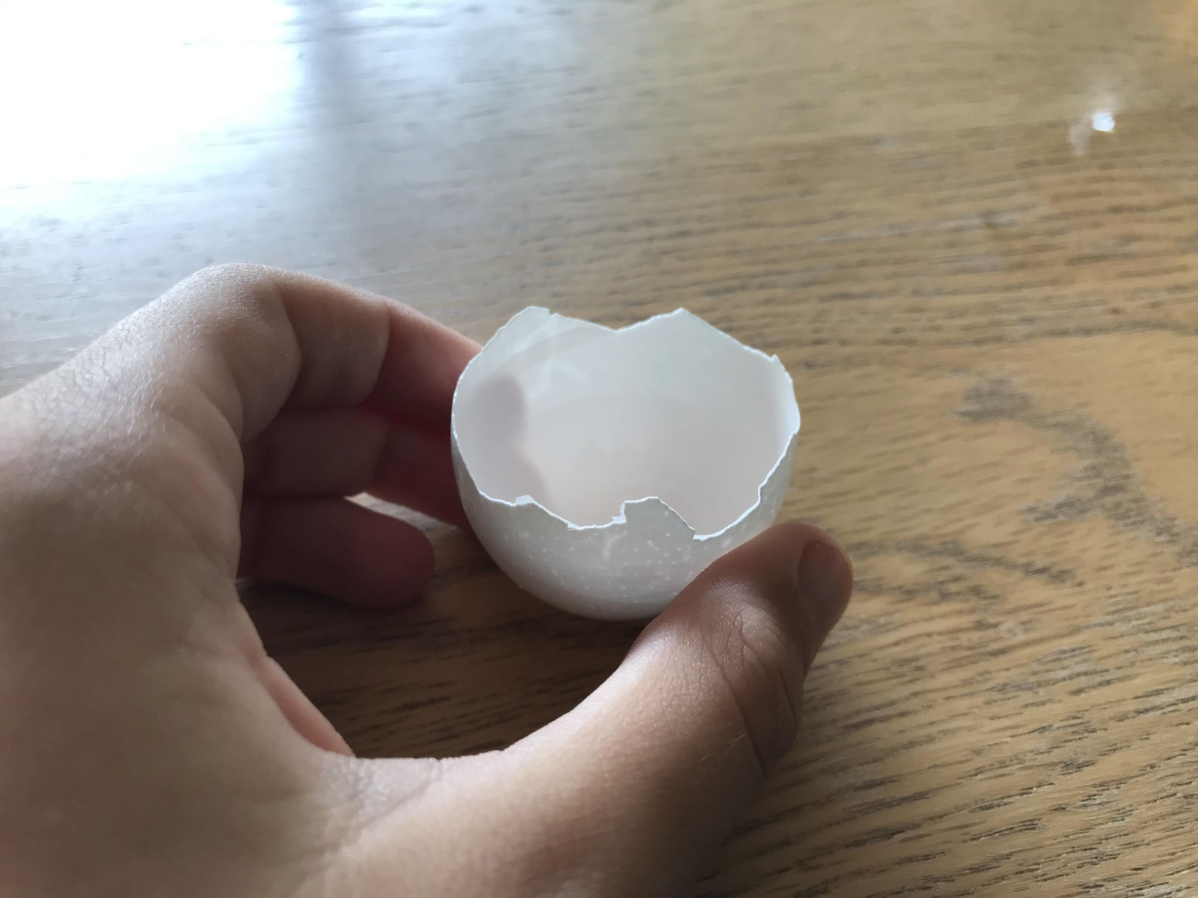 Eggshell Tea Light : 6 Steps - Instructables