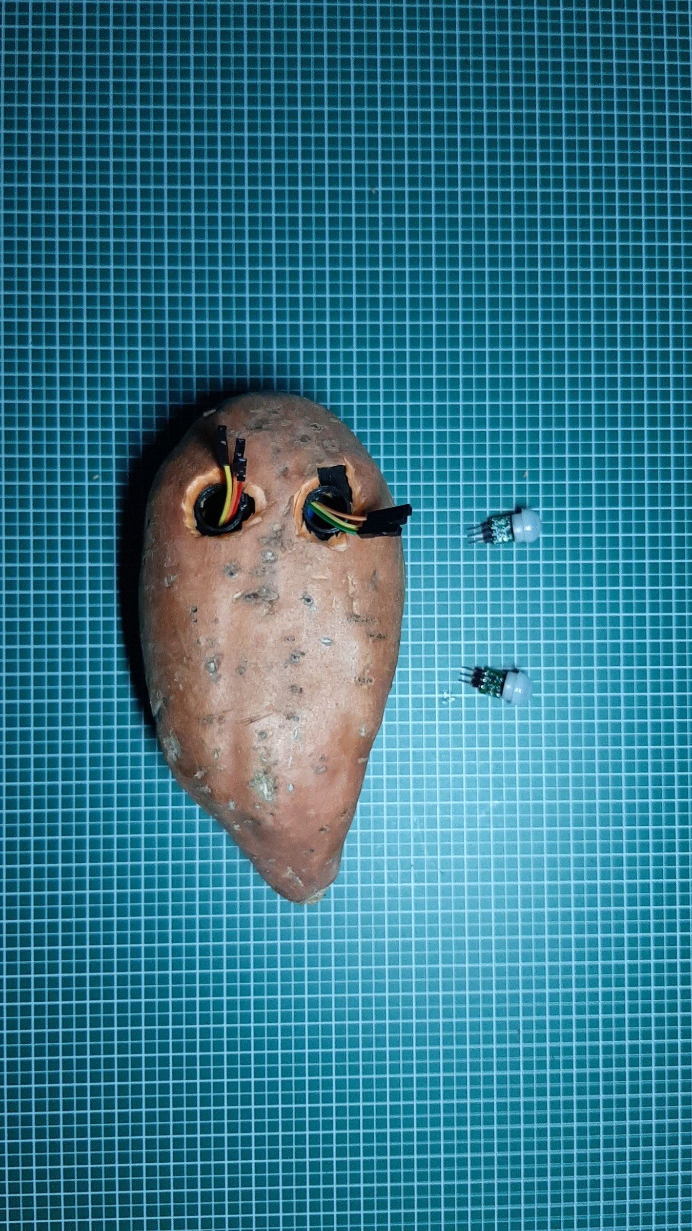 Screaming Potato : 16 Steps (with Pictures) - Instructables