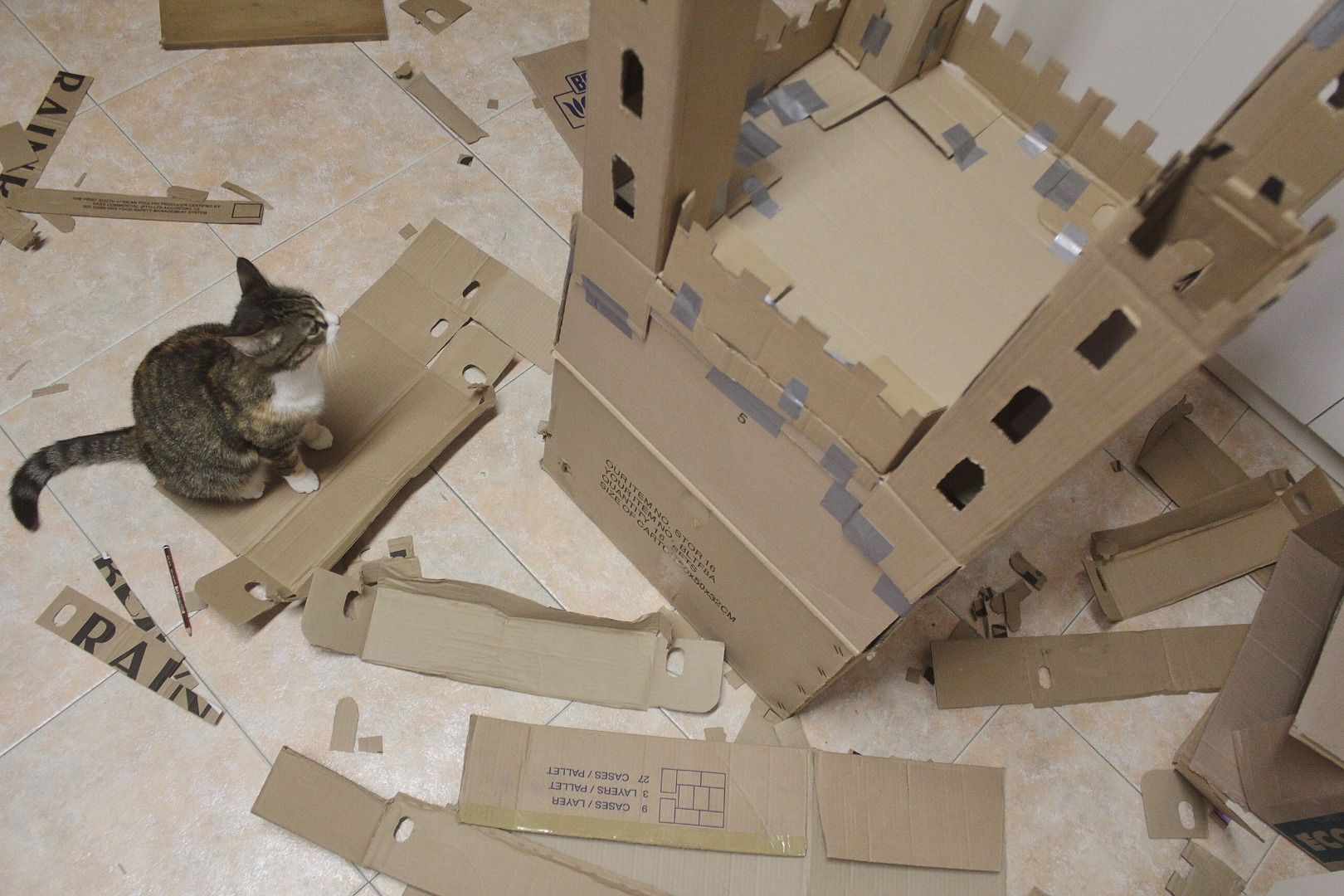 A Cat's Castle : 19 Steps - Instructables
