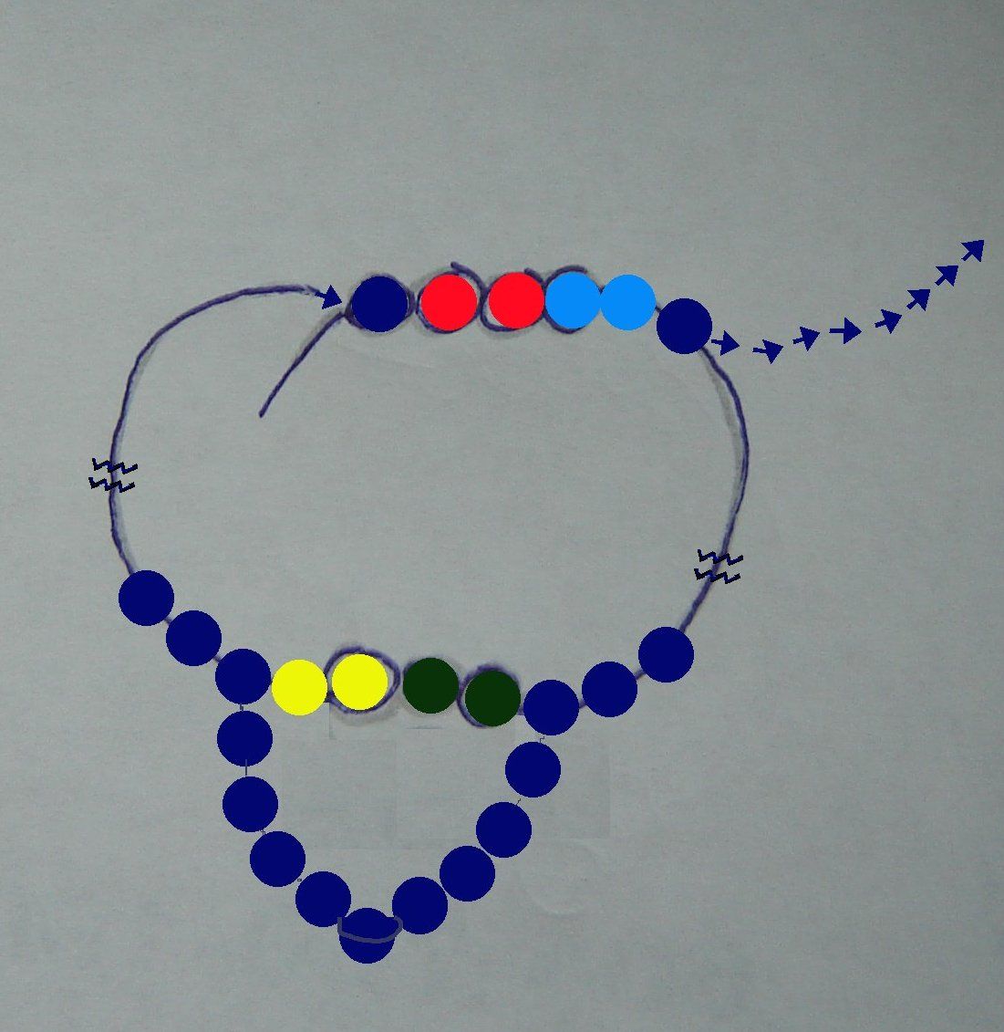 The Double Helix -Glass Bead DNA Model V2.0 : 6 Steps (with Pictures ...