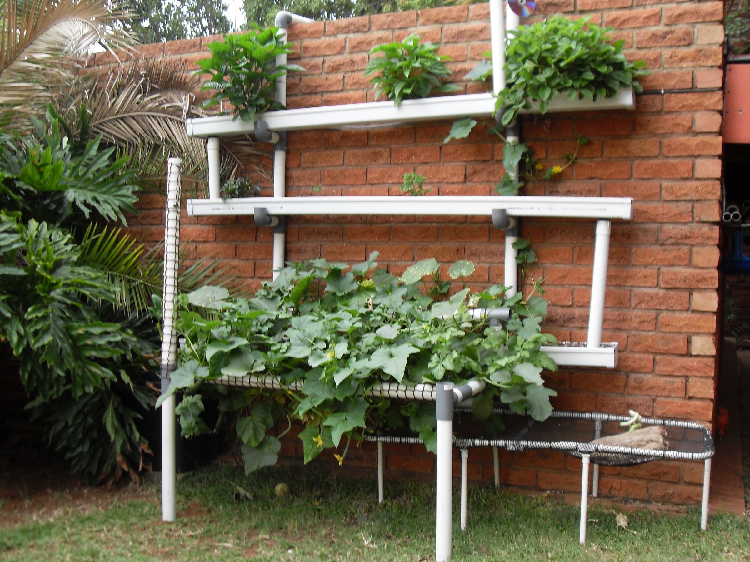 Clip-on Hydroponic Wall Garden : 16 Steps (with Pictures) - Instructables