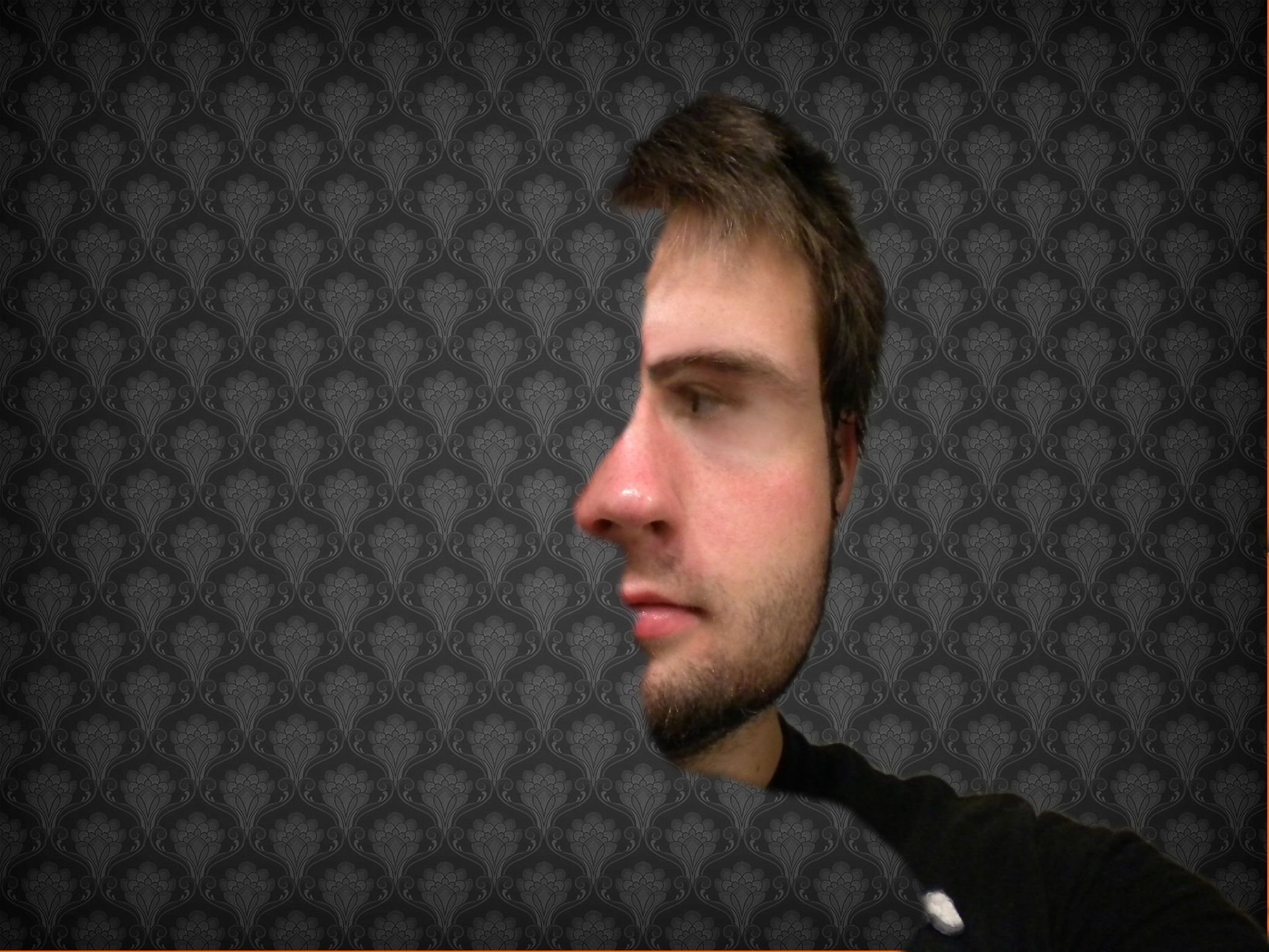 Creepy Double Face Illusion : 4 Steps - Instructables