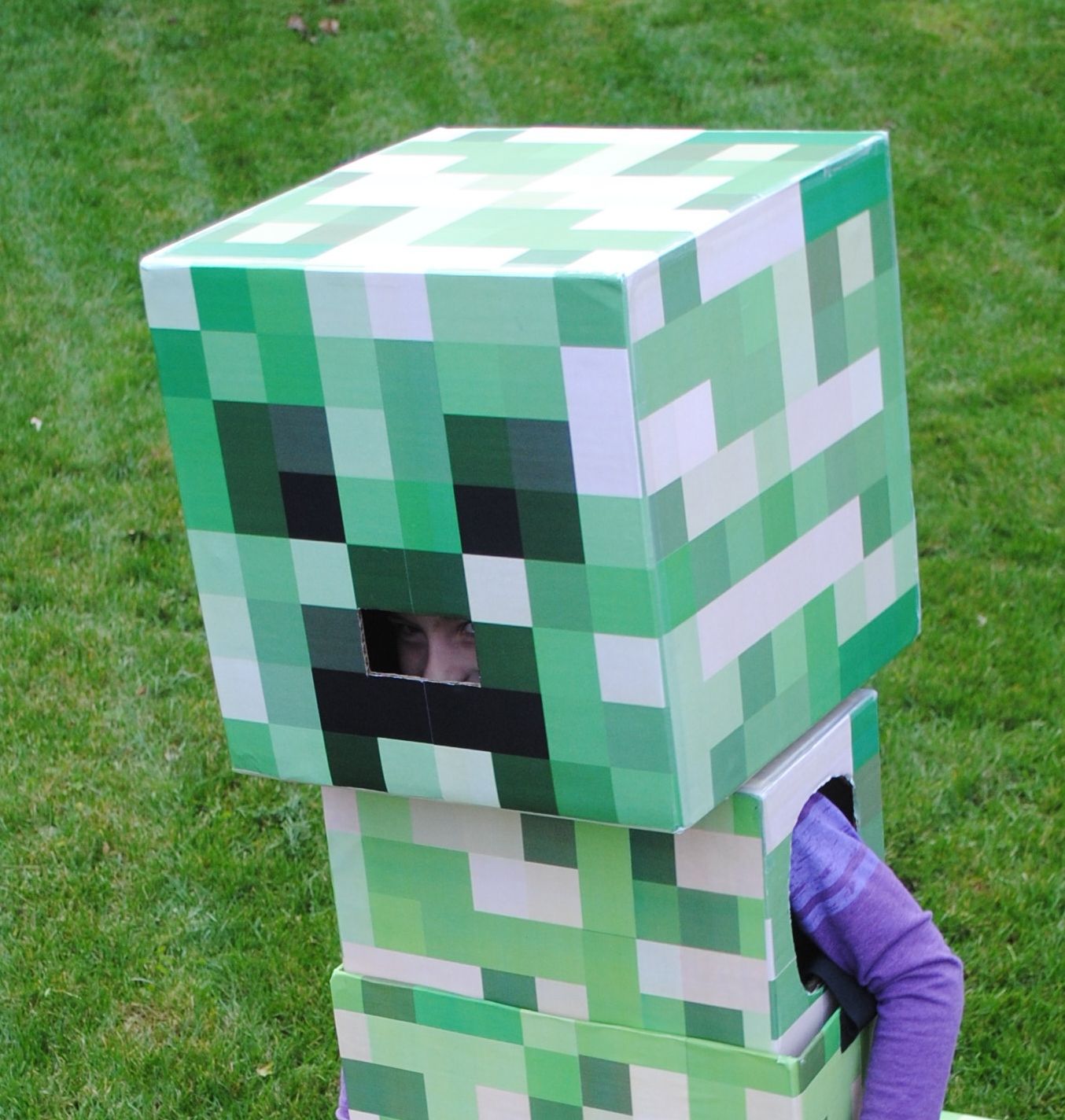 How To Make A Minecraft Creeper Costume