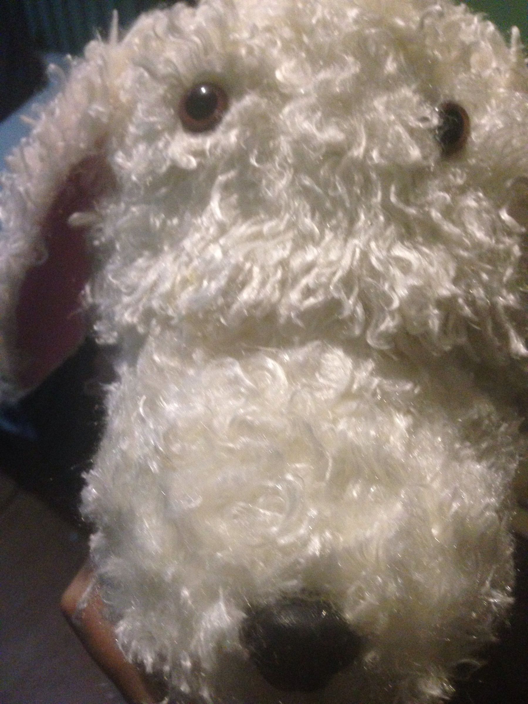 DIY Dog Puppet : 5 Steps (with Pictures) - Instructables