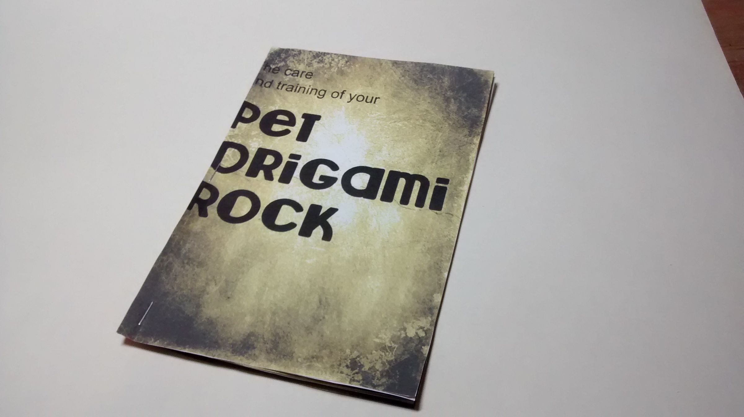 Pet Origami Rock and Manual : 4 Steps - Instructables