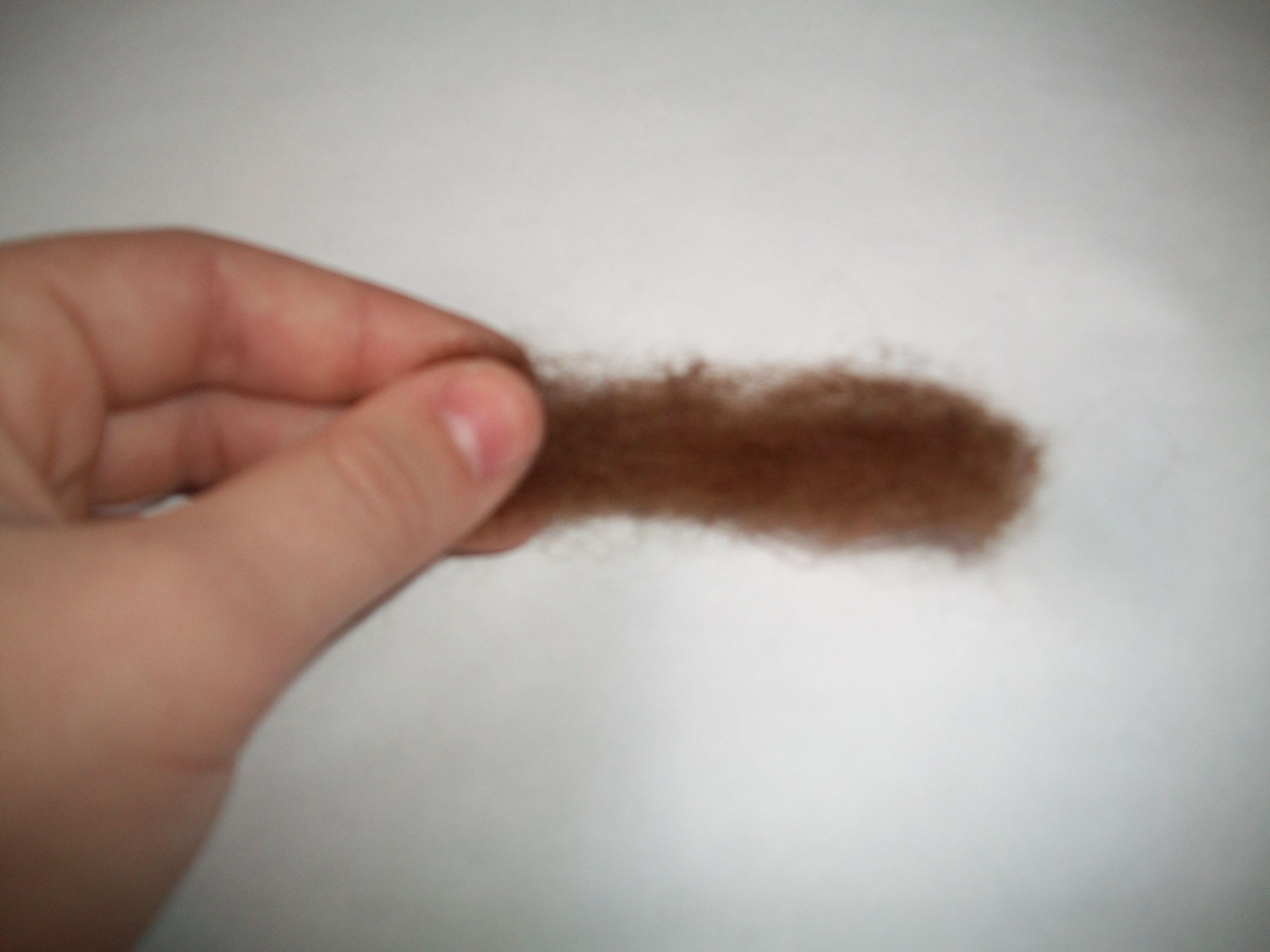 Needle Felted Pocket Buddies : 7 Steps - Instructables