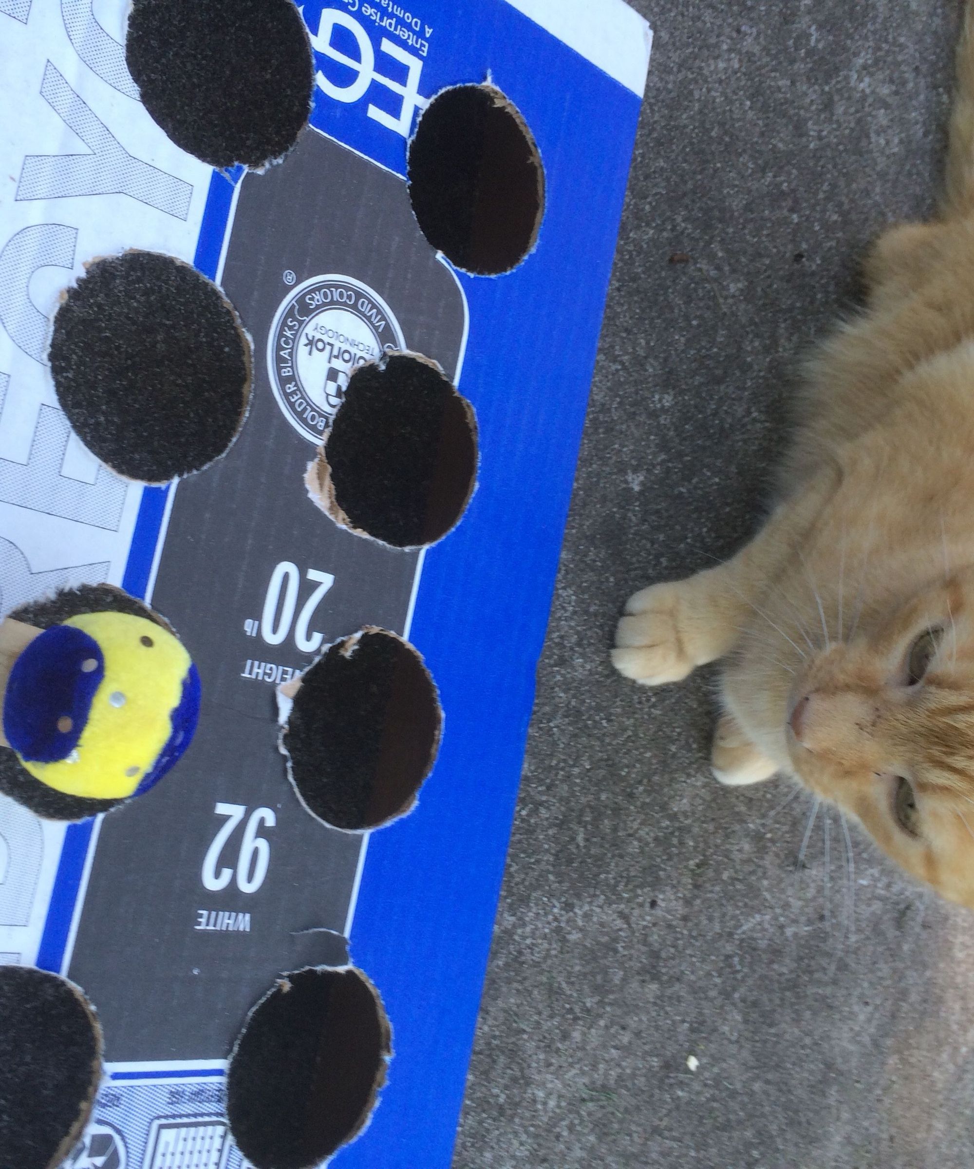 Whack-A-Mouse : 8 Steps (with Pictures) - Instructables