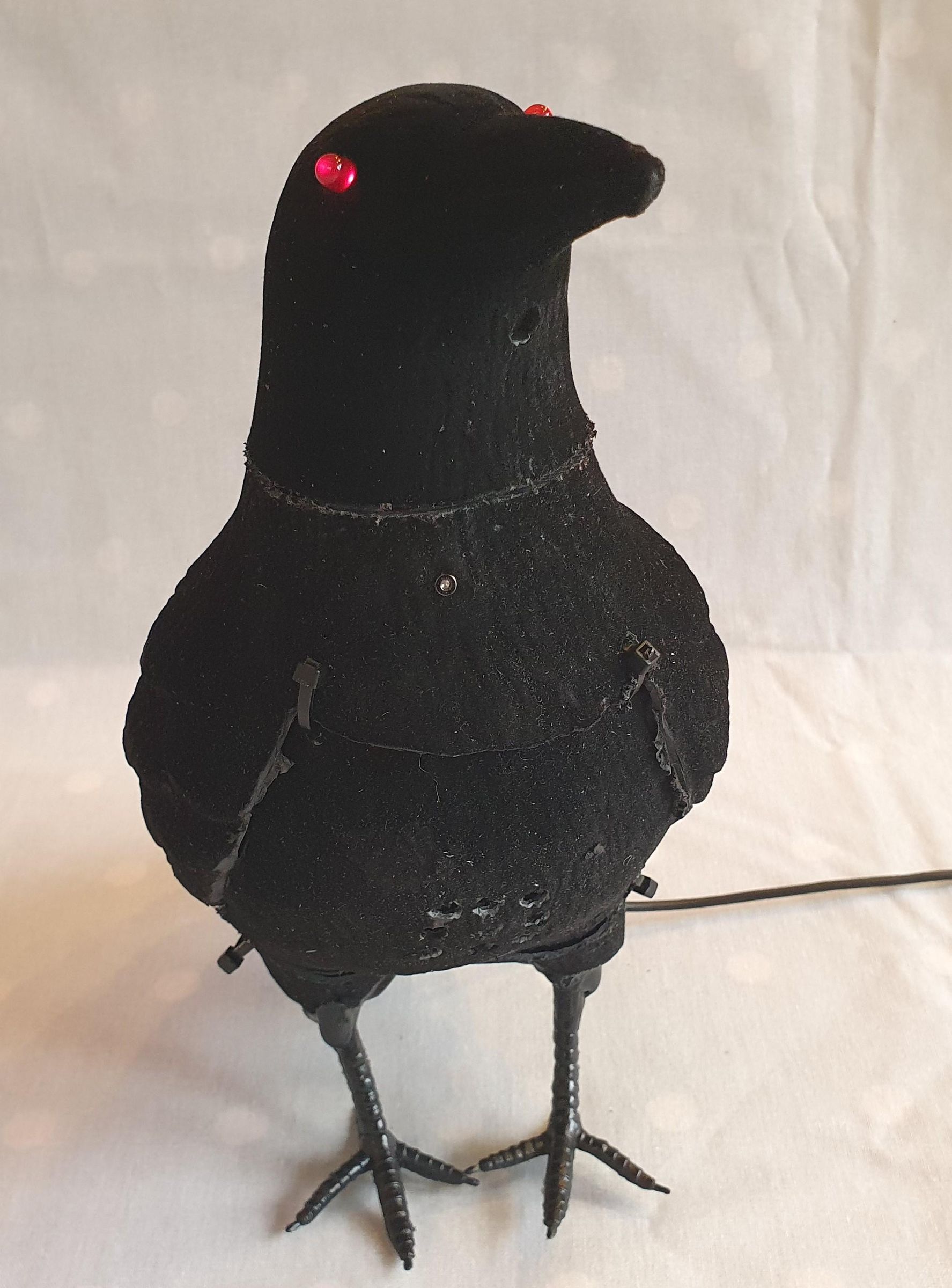 Raven Pi Security Camera : 7 Steps (with Pictures) - Instructables