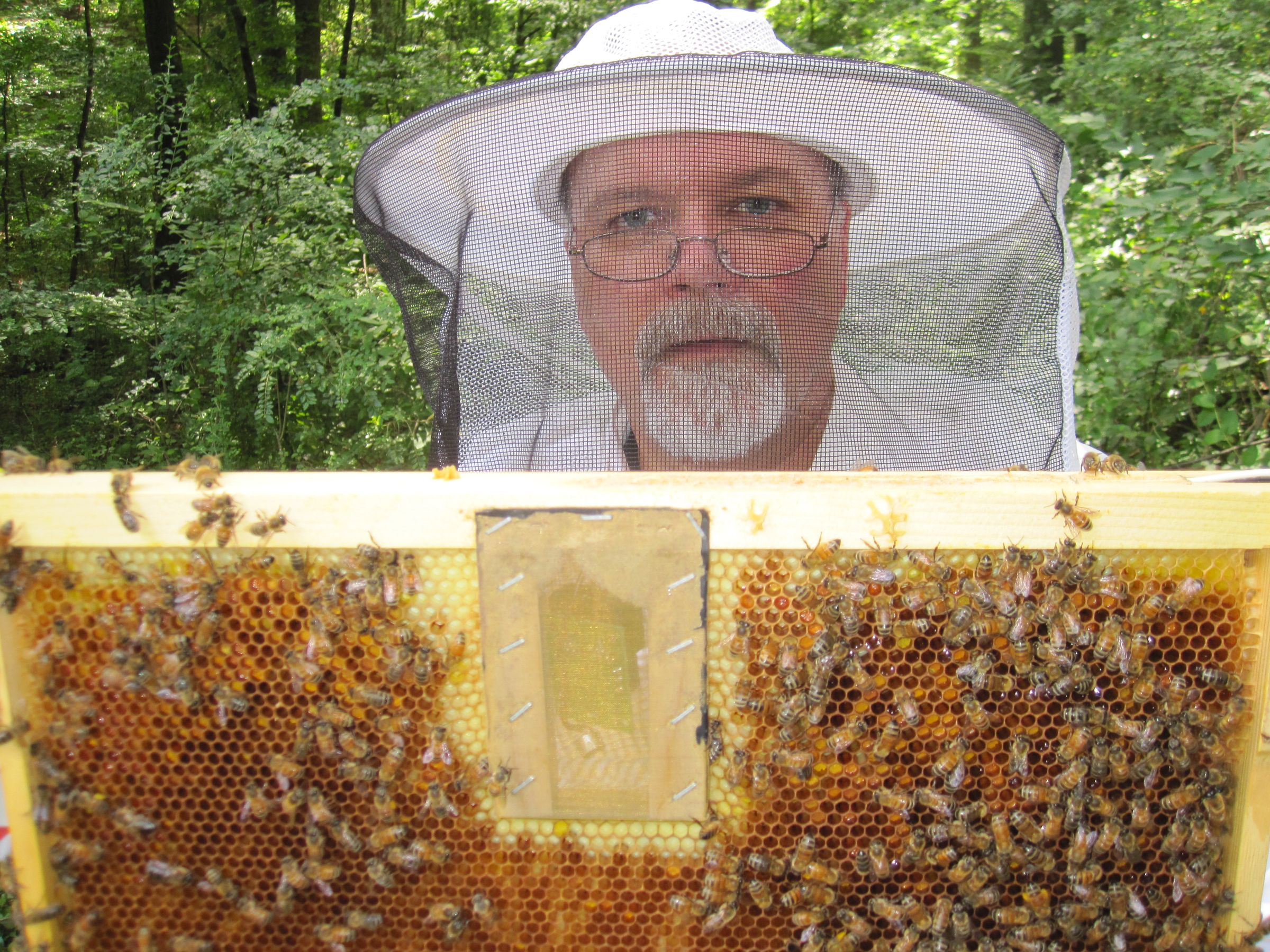 Build a Scale to Weigh Bee Hives : 7 Steps (with Pictures) - Instructables